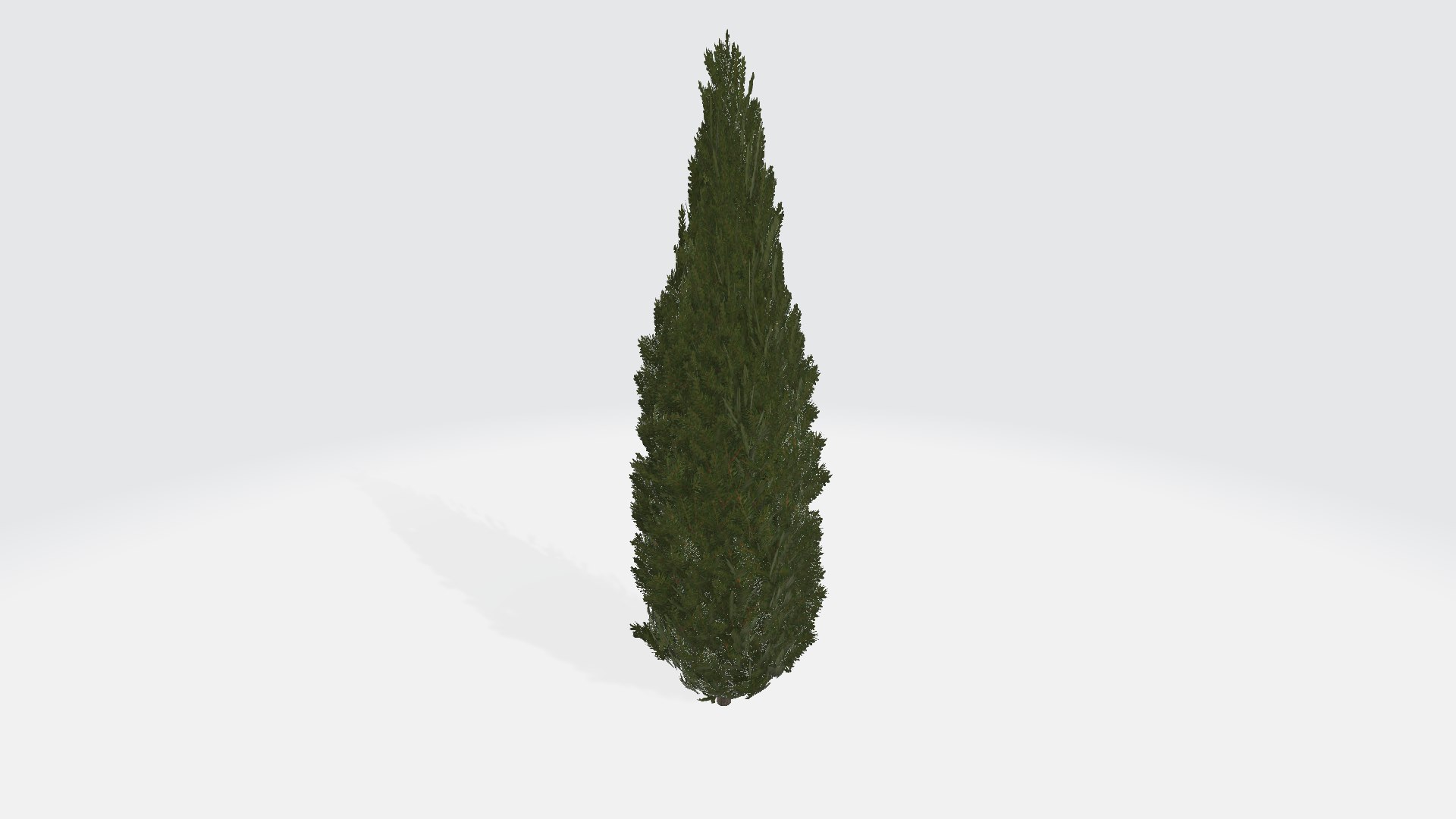 Topiary 3D Model - TurboSquid 2296657