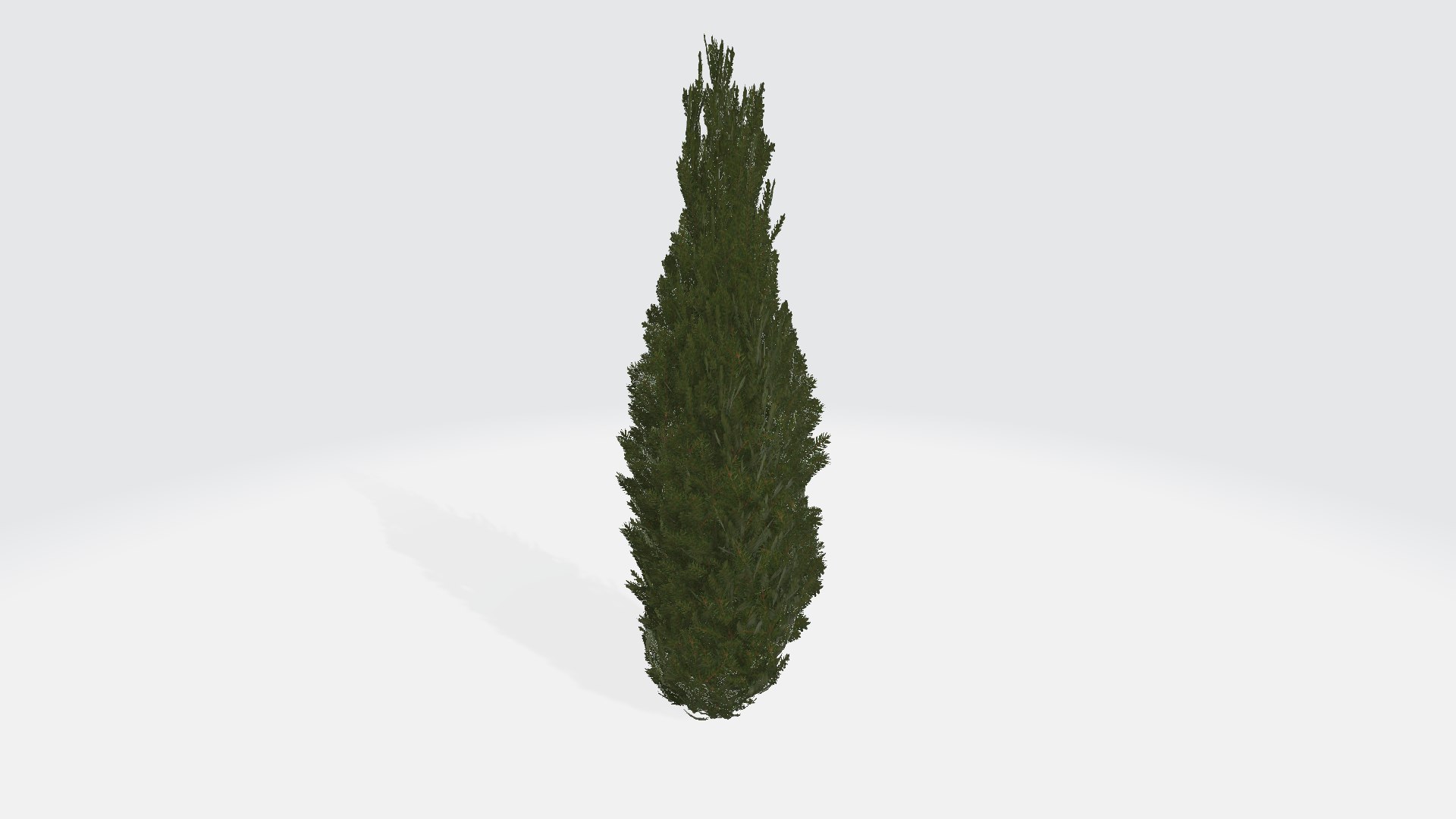 Topiary 3D Model - TurboSquid 2296657