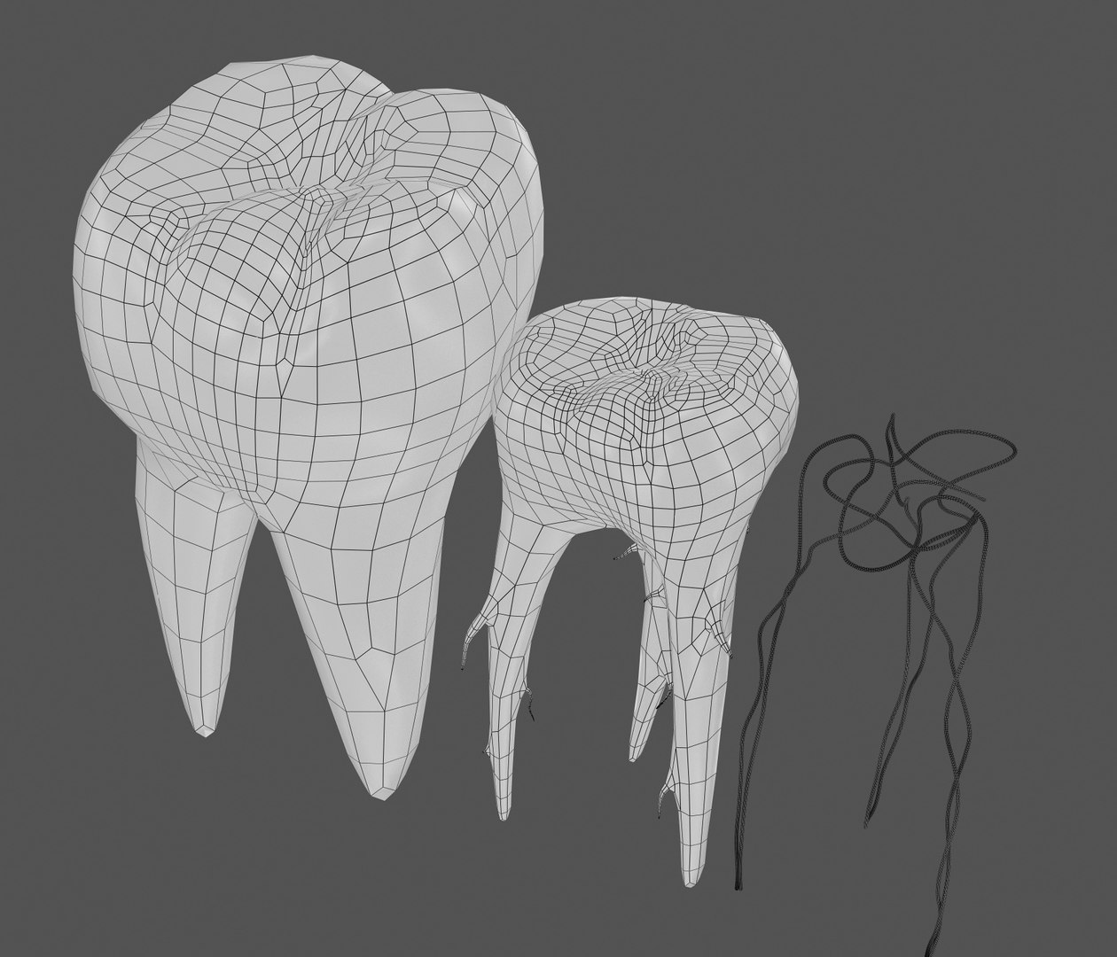 Transparent Teeth Endodontics Inner 3D Model - TurboSquid 1255161
