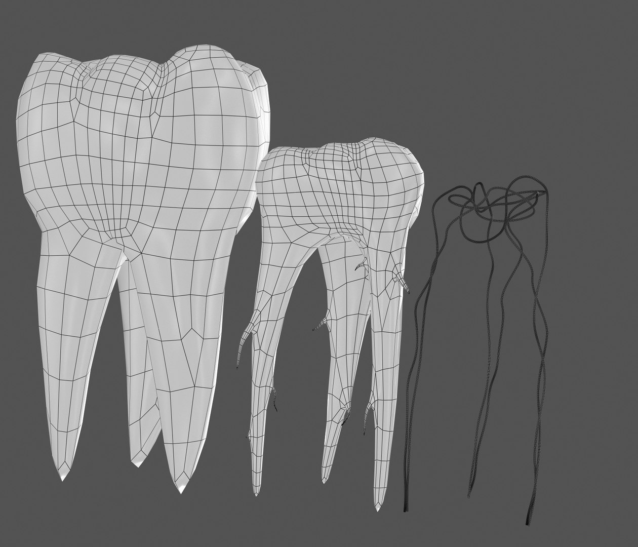 Transparent Teeth Endodontics Inner 3D Model - TurboSquid 1255161