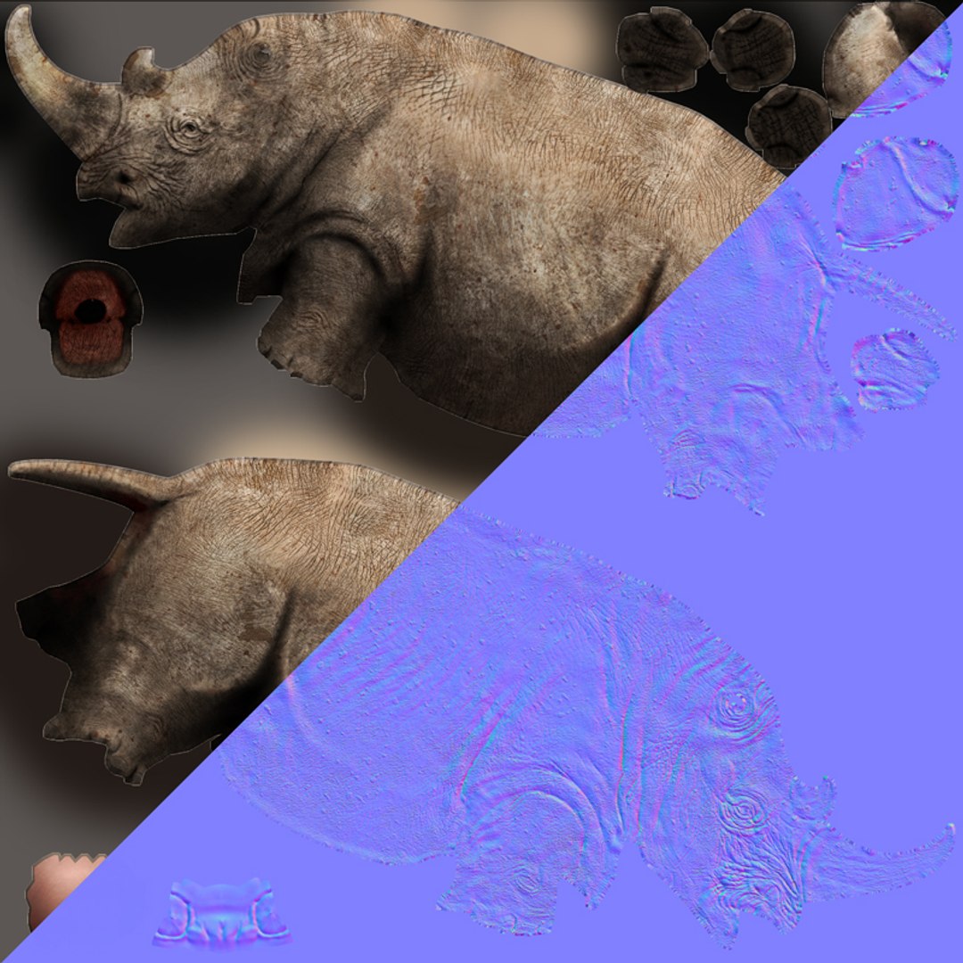 3d rigged rhino