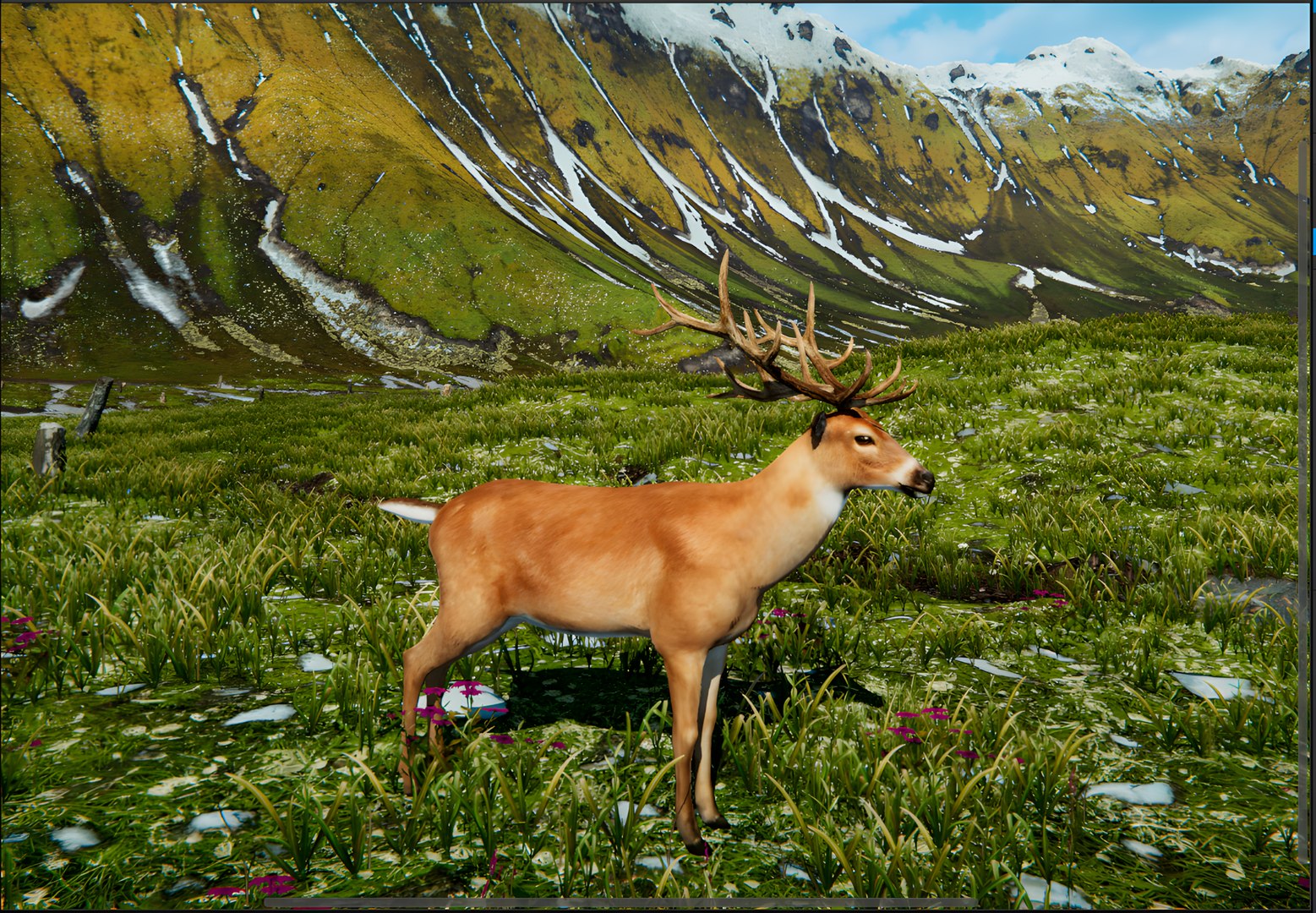 Realistic Animals PACK 3D Model - TurboSquid 2385851