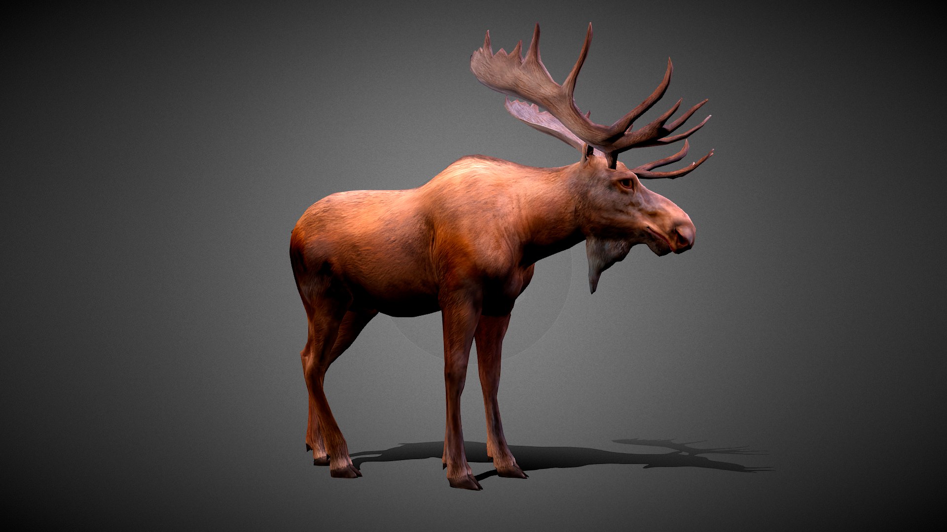 Realistic Animals PACK 3D Model - TurboSquid 2385851