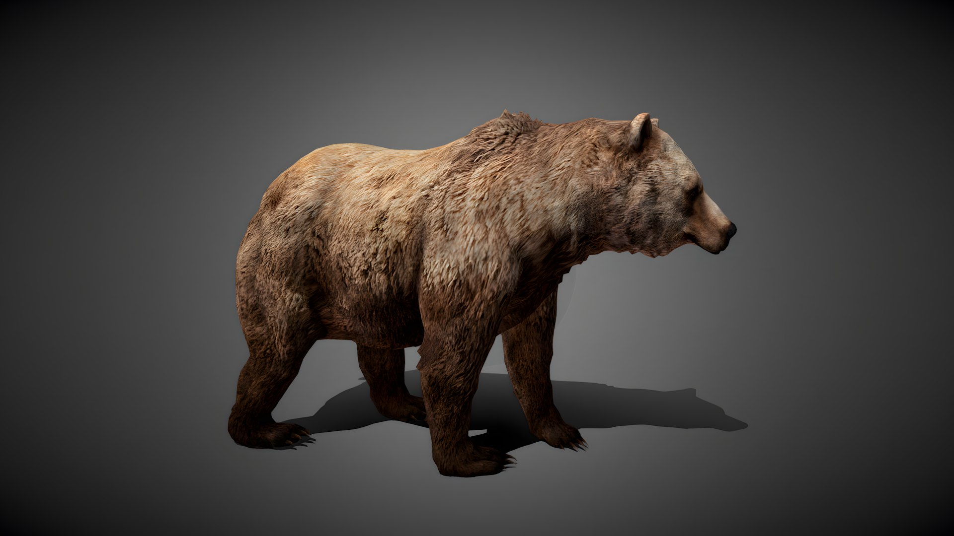 Realistic Animals PACK 3D Model - TurboSquid 2385851