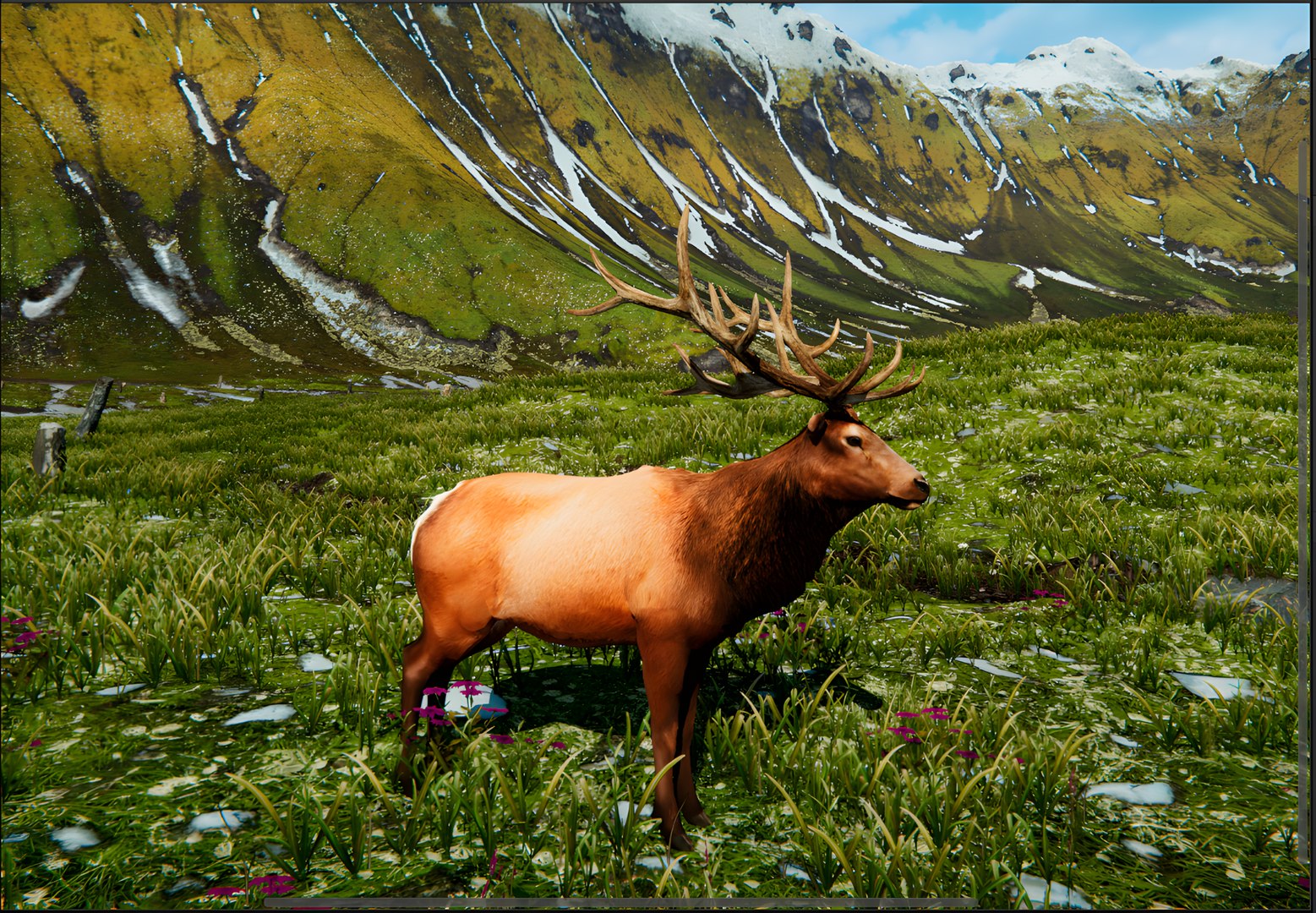 Realistic Animals PACK 3D Model - TurboSquid 2385851