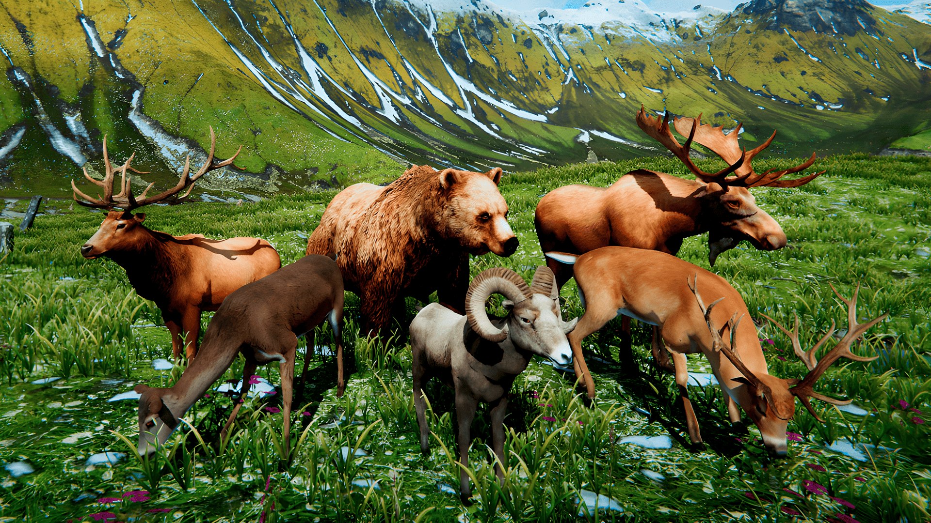 Realistic Animals PACK 3D Model - TurboSquid 2385851