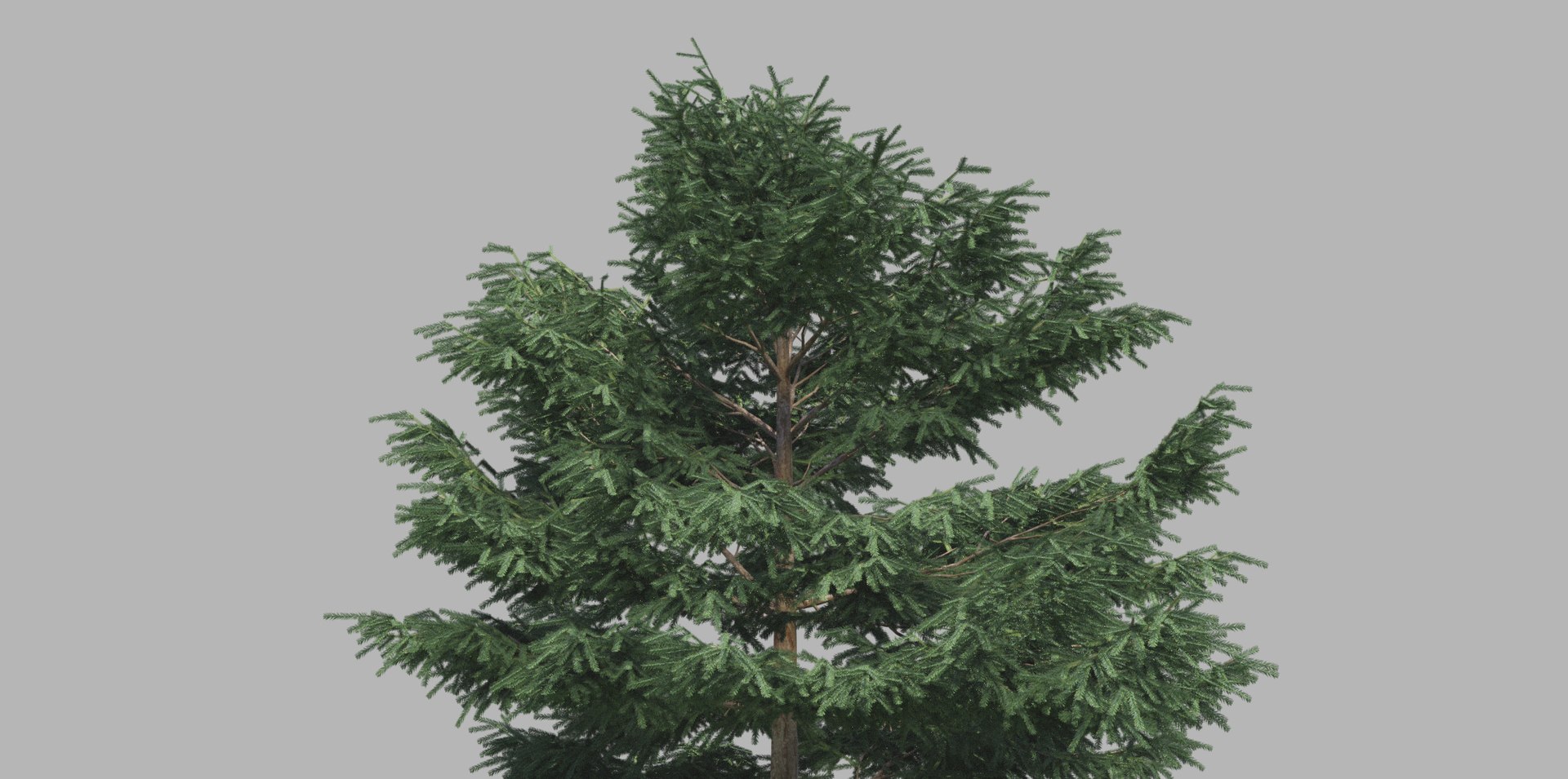 3D Pack Pine Trees Nature Model - TurboSquid 1456019