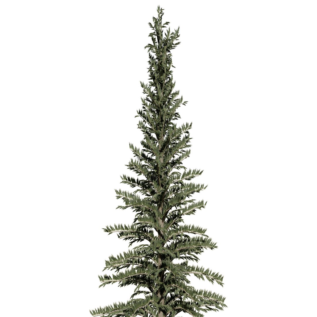 High-Detail Spruce Models 3D - TurboSquid 2264988