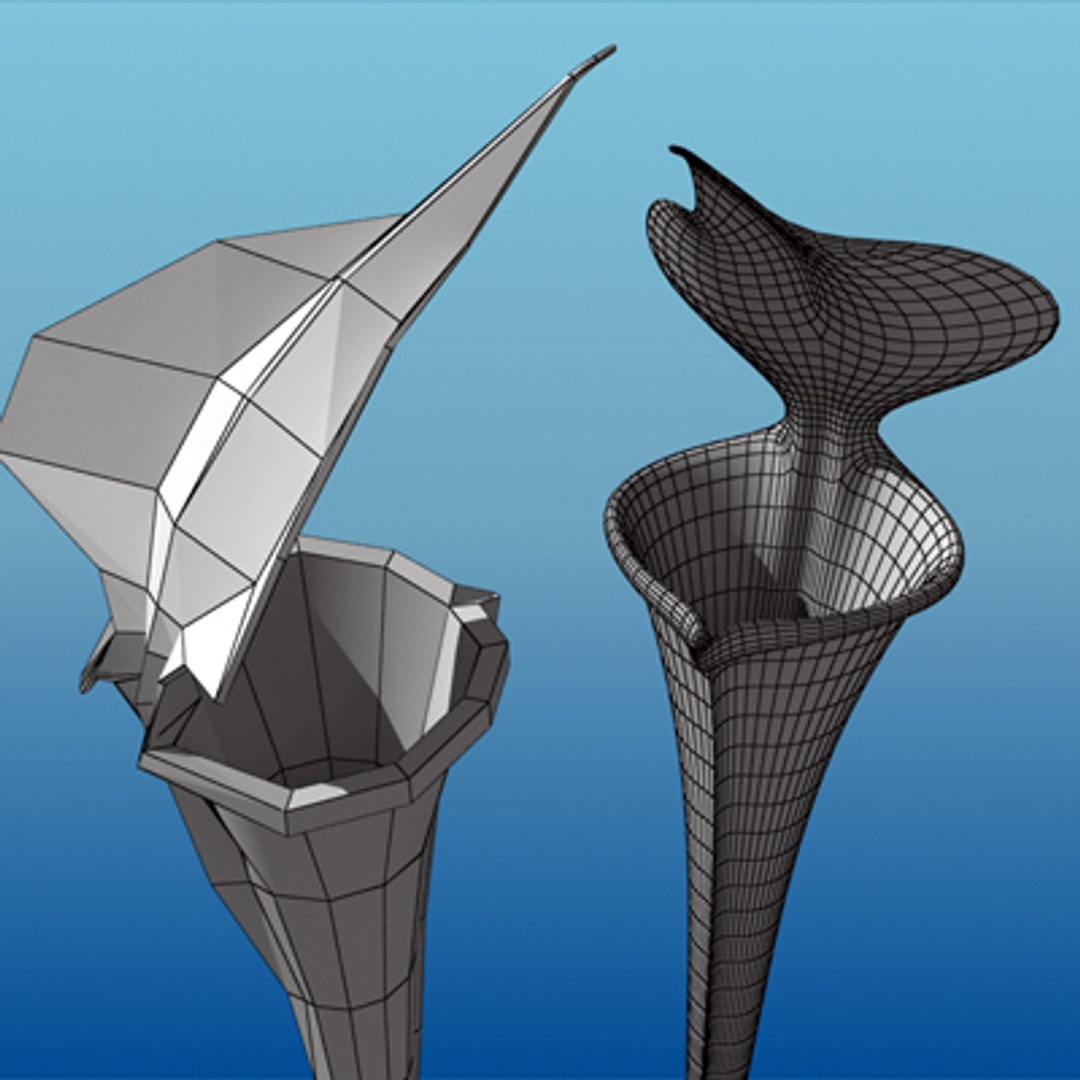 3d Model Yellow Pitcher Plant