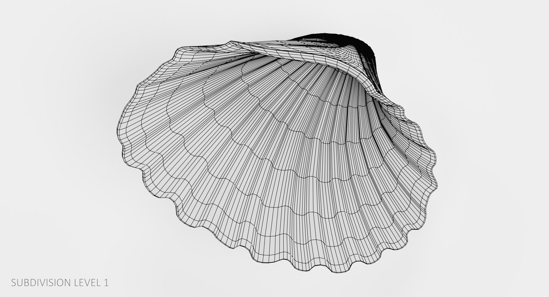3D Clam Pbr Model - TurboSquid 1229495