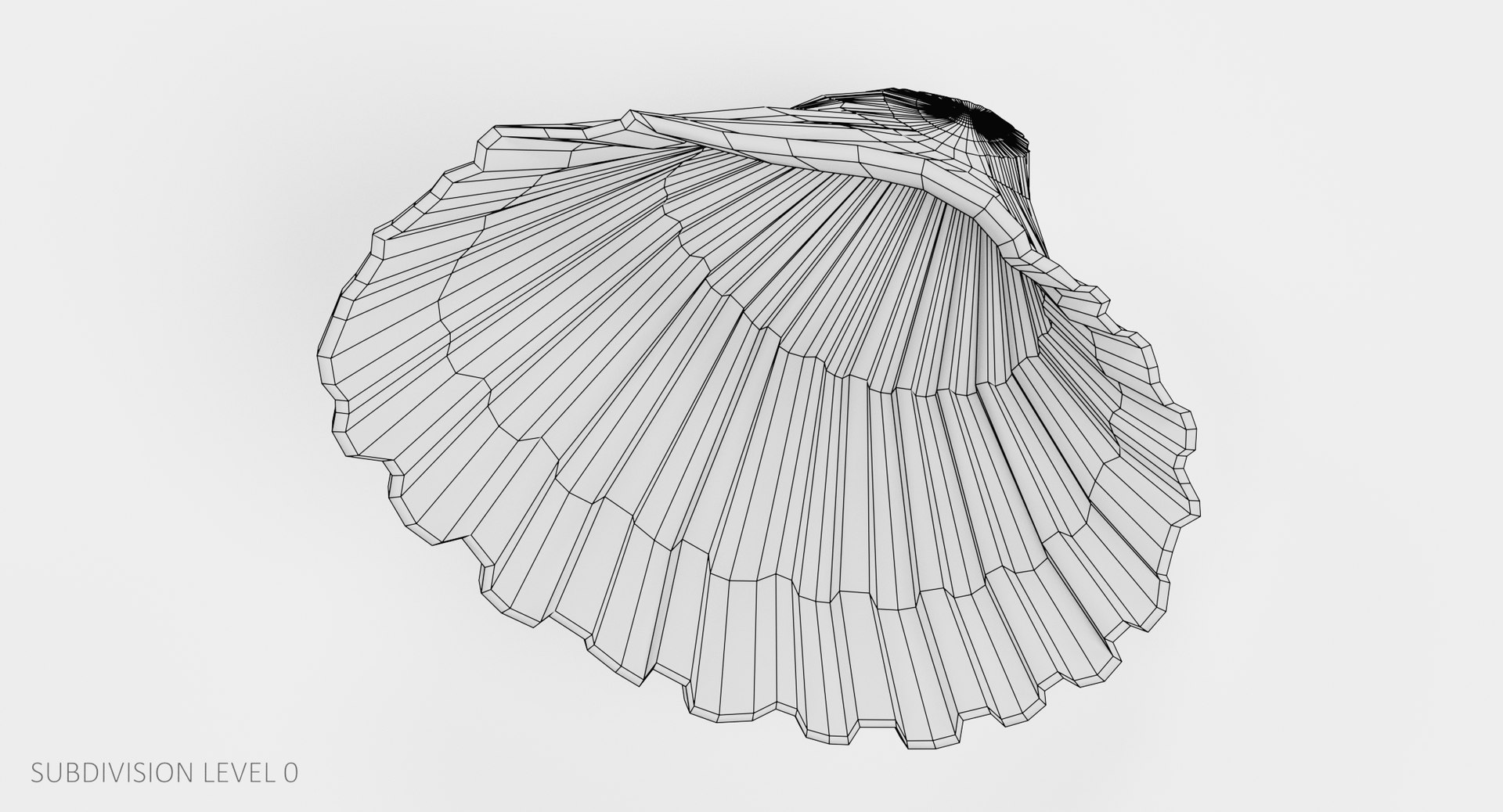 3D Clam Pbr Model - TurboSquid 1229495