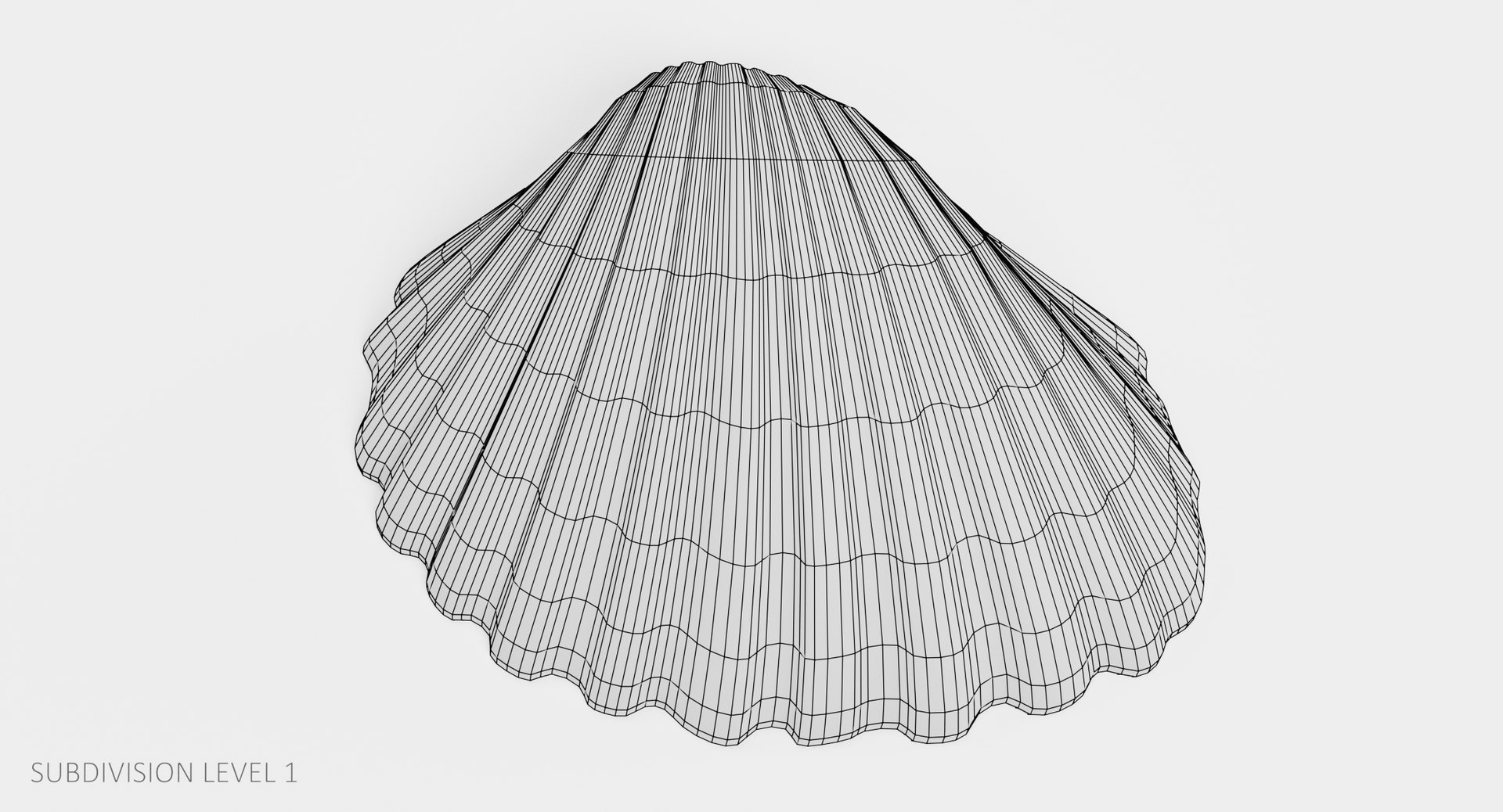 3D Clam Pbr Model - TurboSquid 1229495