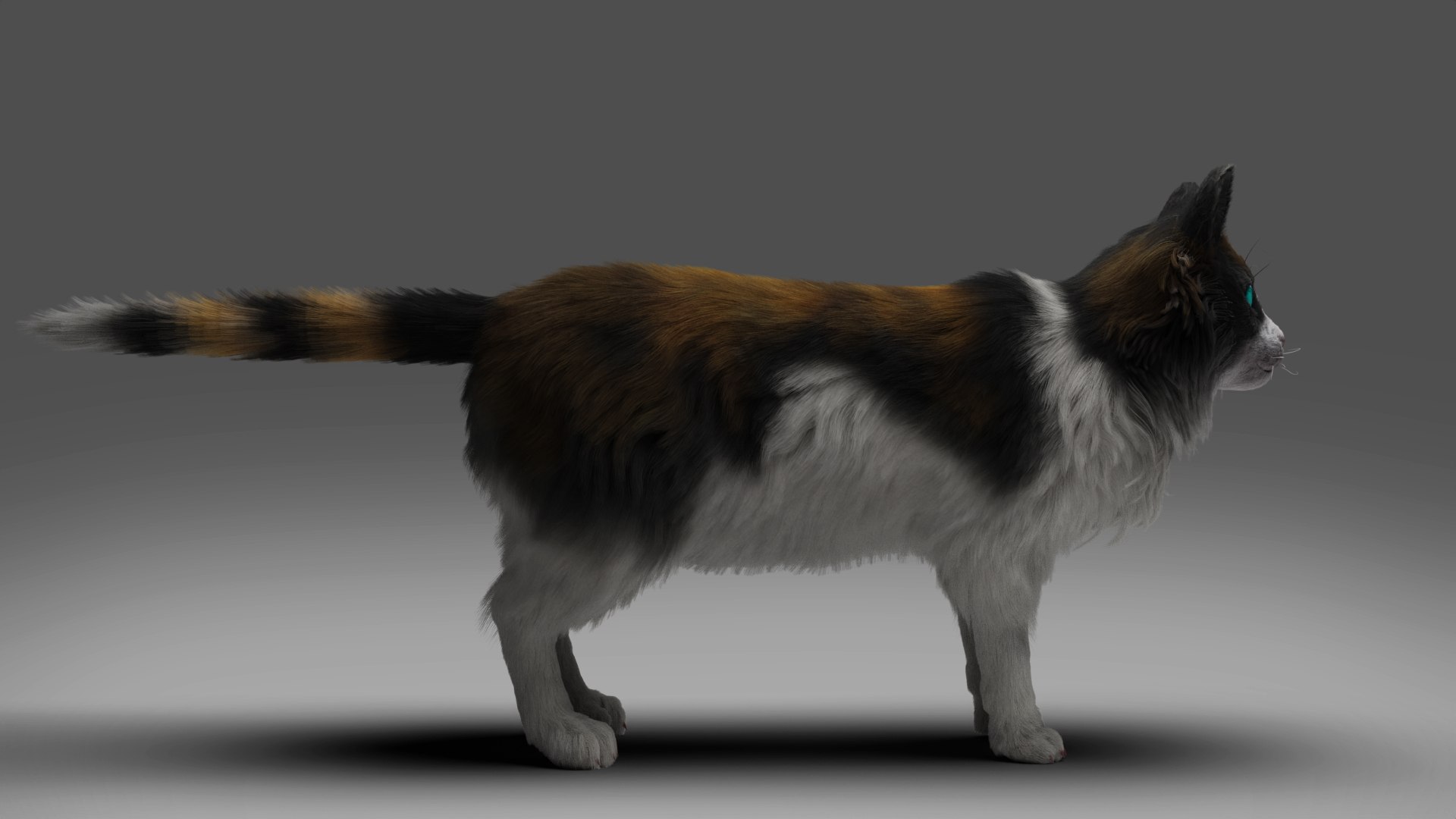Fur Calico Cat Rigged And Animated 3D - TurboSquid 1981436