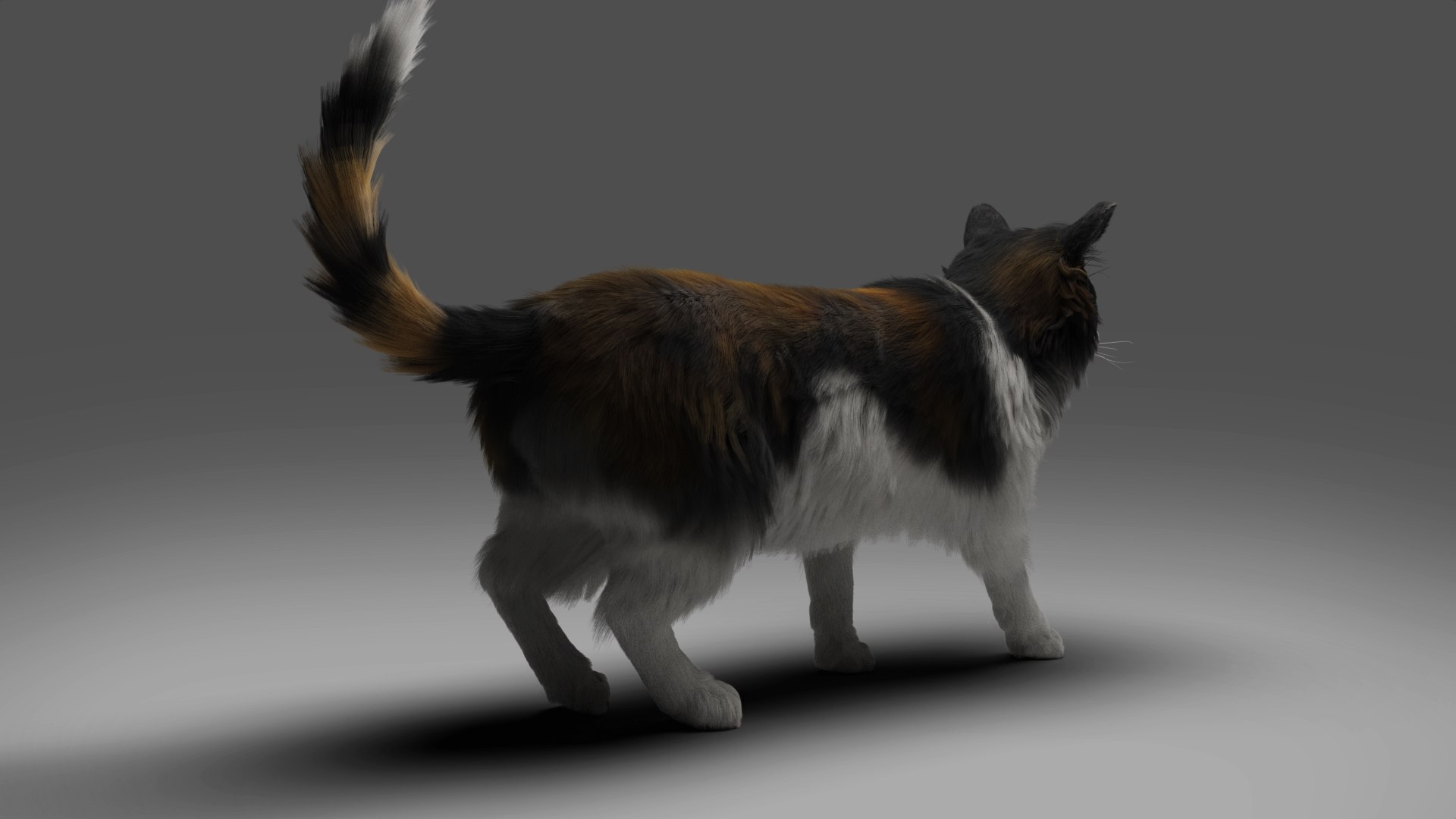 Fur Calico Cat Rigged And Animated 3d Turbosquid 1981436