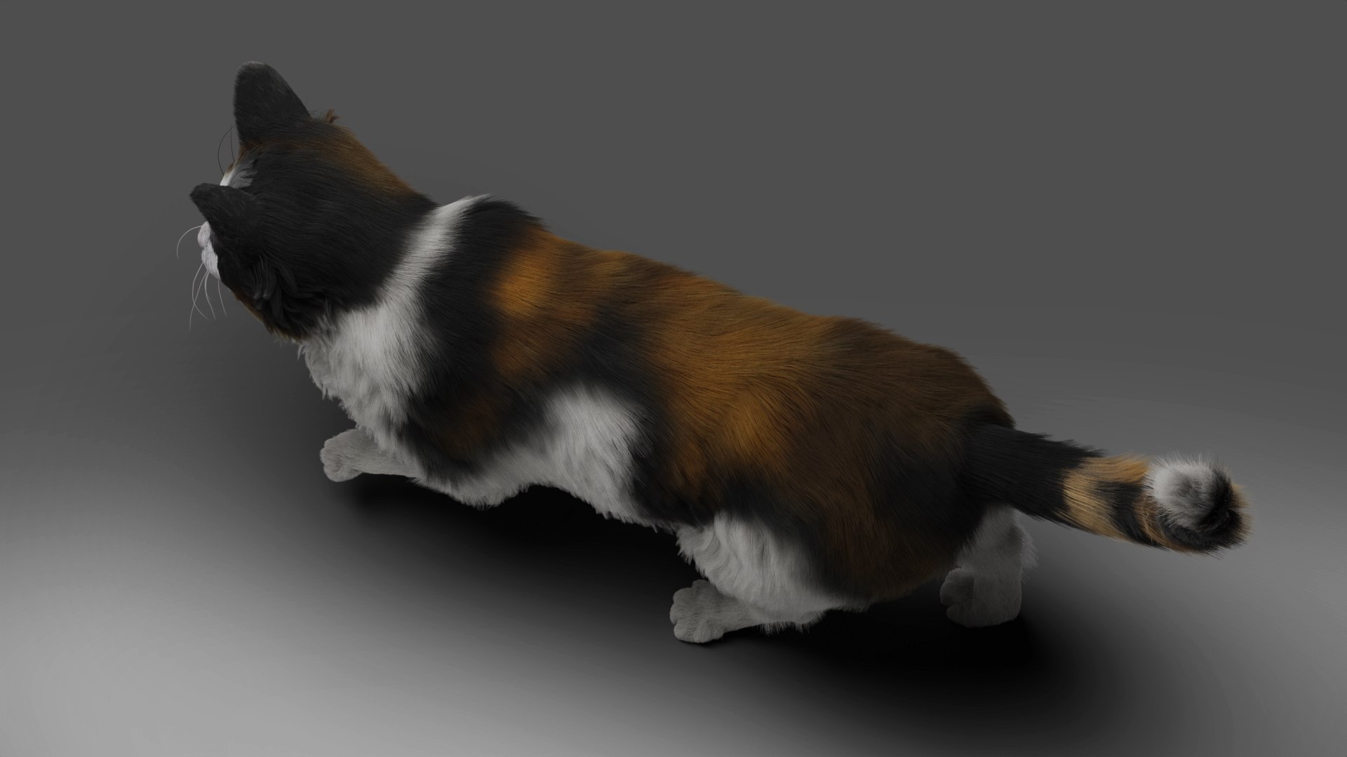 Fur Calico Cat Rigged And Animated 3D - TurboSquid 1981436