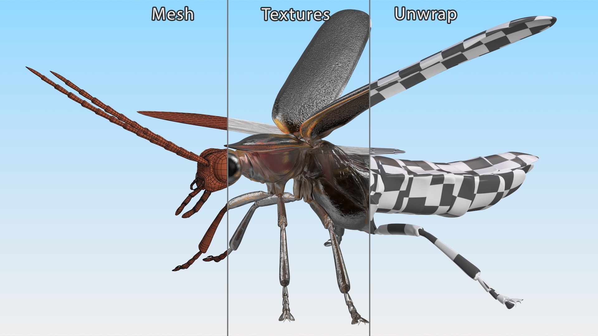 Eastern Firefly Glowing Basic Pose Model - TurboSquid 2170447