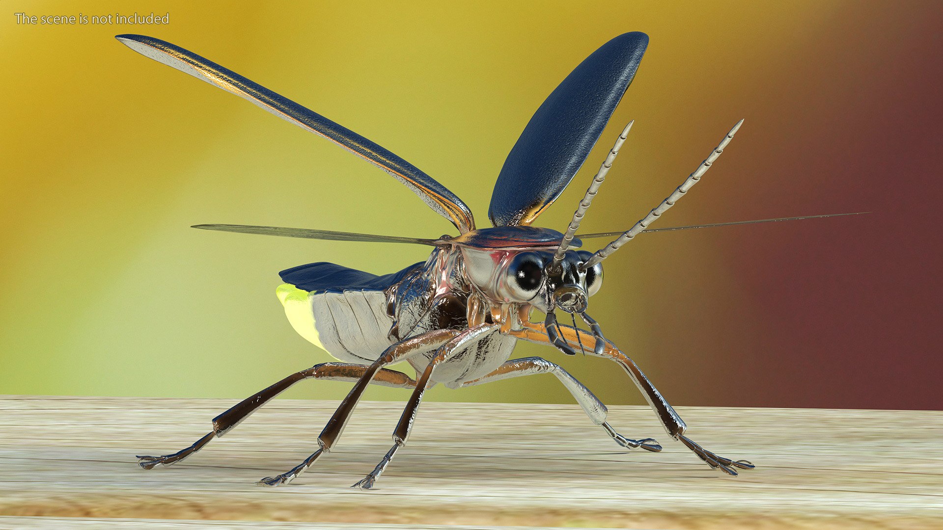 Eastern Firefly Glowing Basic Pose Model - TurboSquid 2170447