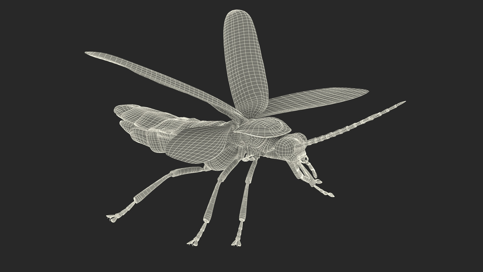 Eastern Firefly Glowing Basic Pose Model - TurboSquid 2170447