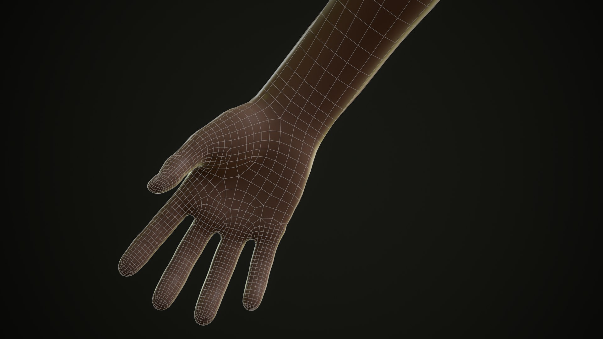 3D Model First Person Arms - TurboSquid 1728421
