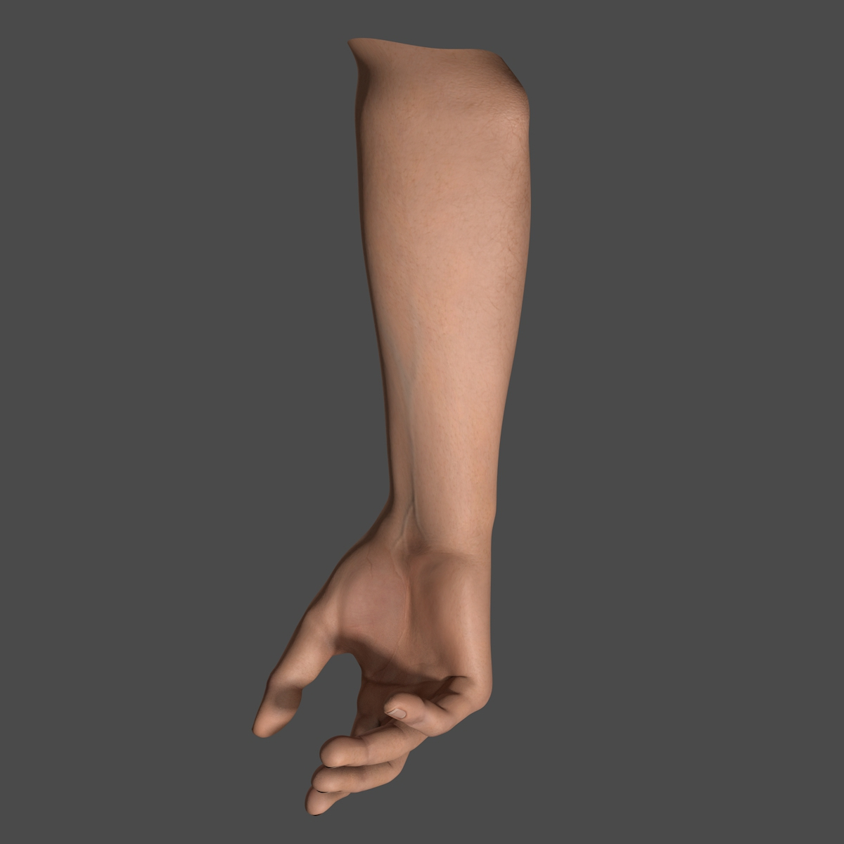 3d hand arm male pose