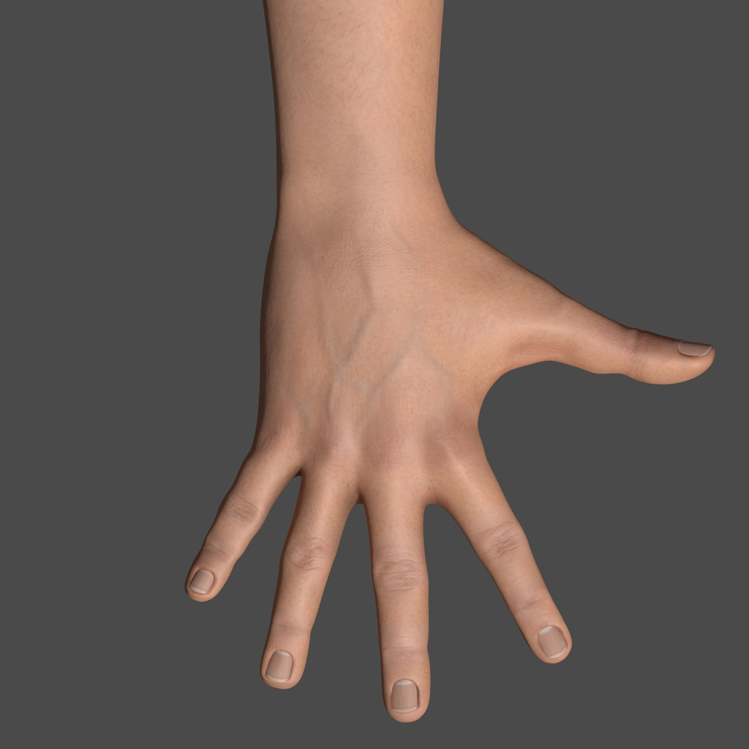 3d hand arm male pose