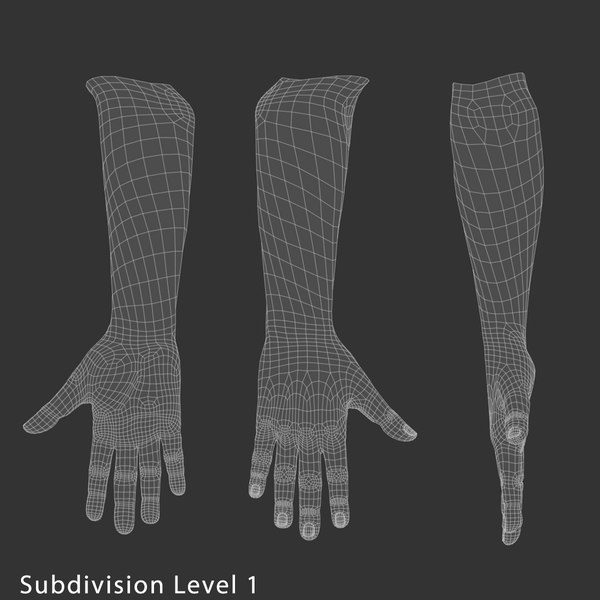 3d hand arm male pose