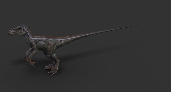 velociraptor 1 animation 3d model
