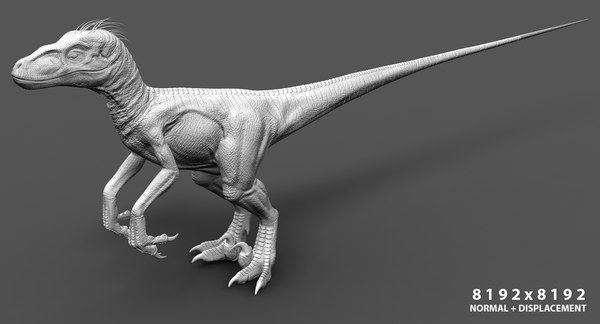 velociraptor 1 animation 3d model