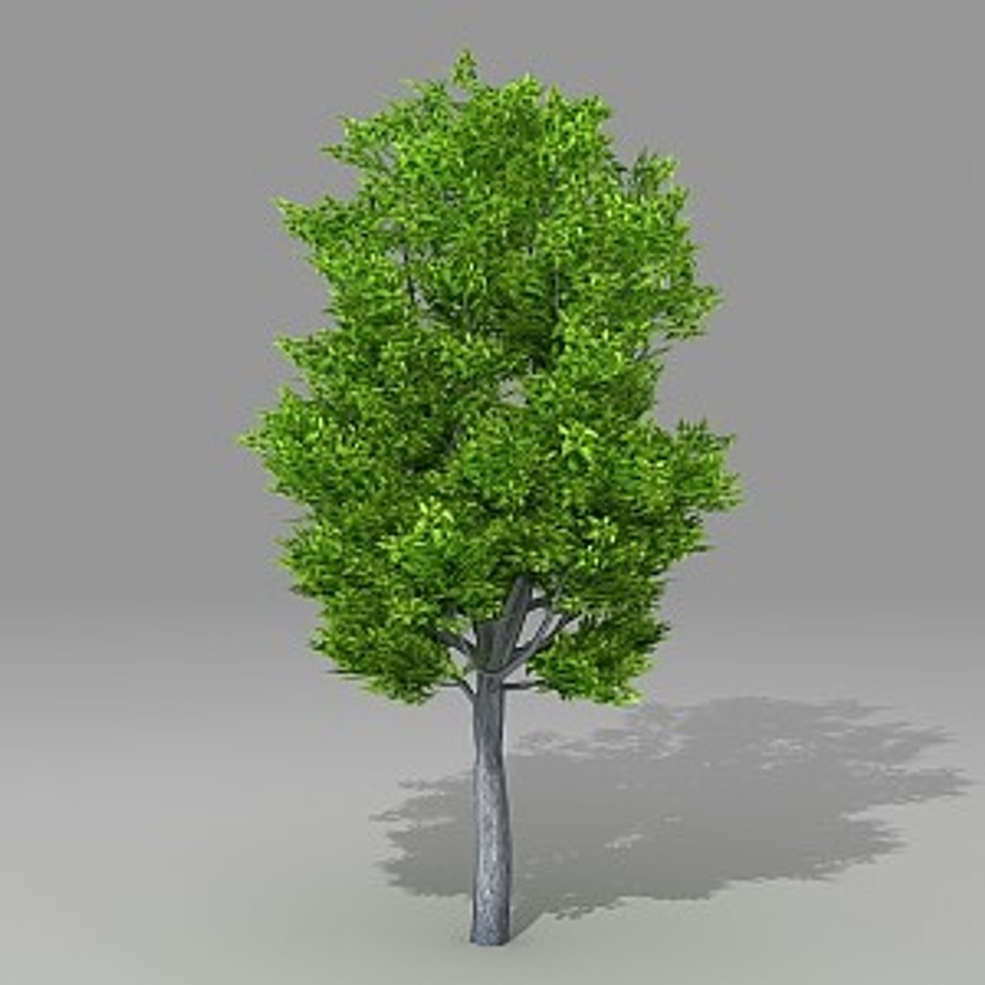 3d Tree Model