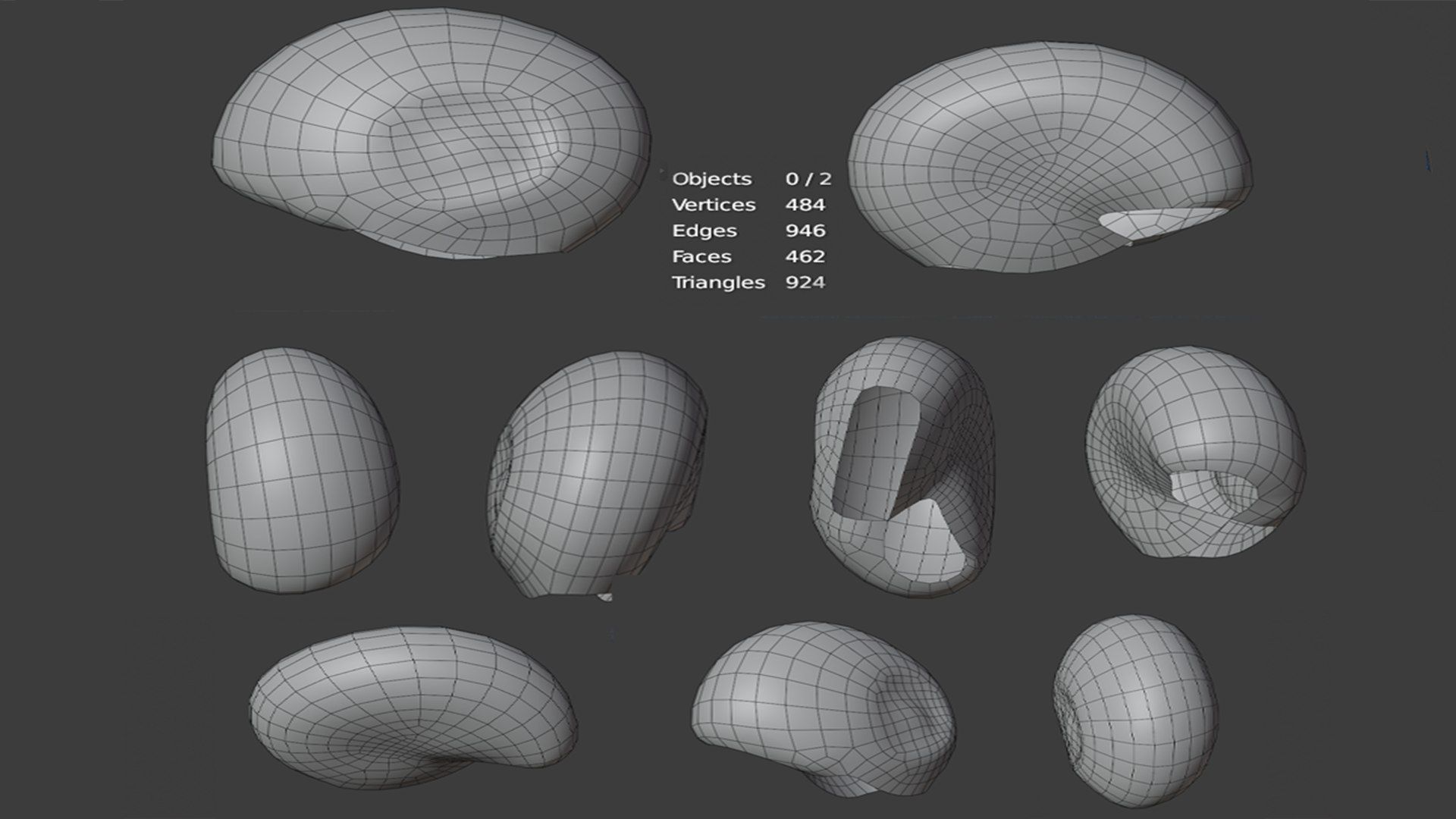 3D Snail Shell Model - TurboSquid 1702972