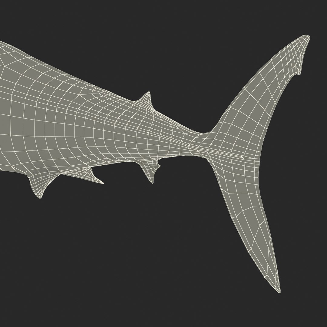 Shortfin Mako Shark 3d 3ds