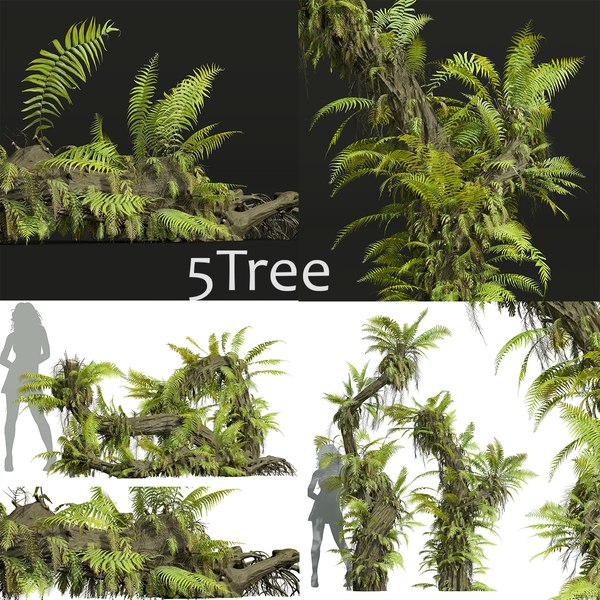 5 Different 3D models in the sceneDrynaria Roosii Uprooted 3D 모델 ...
