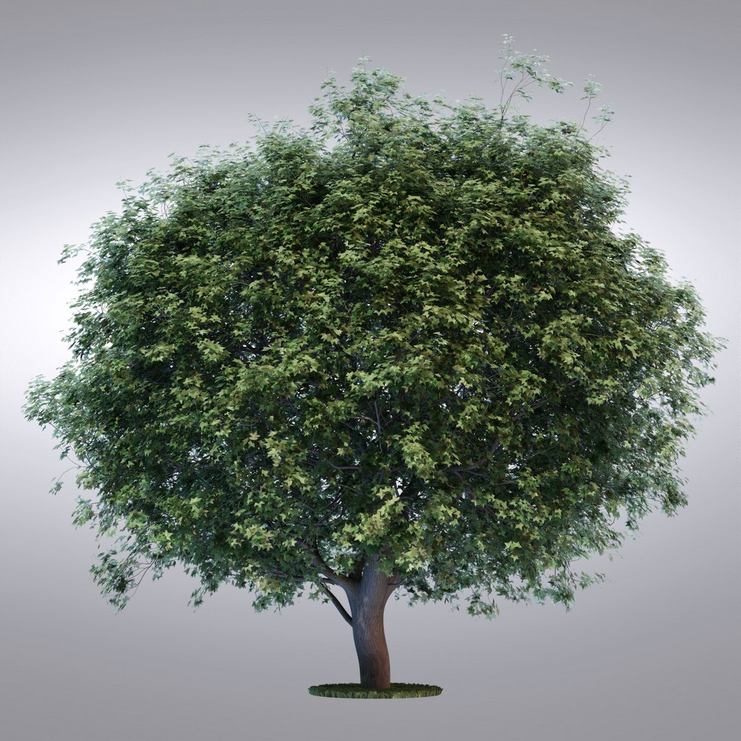 hi realistic series tree max