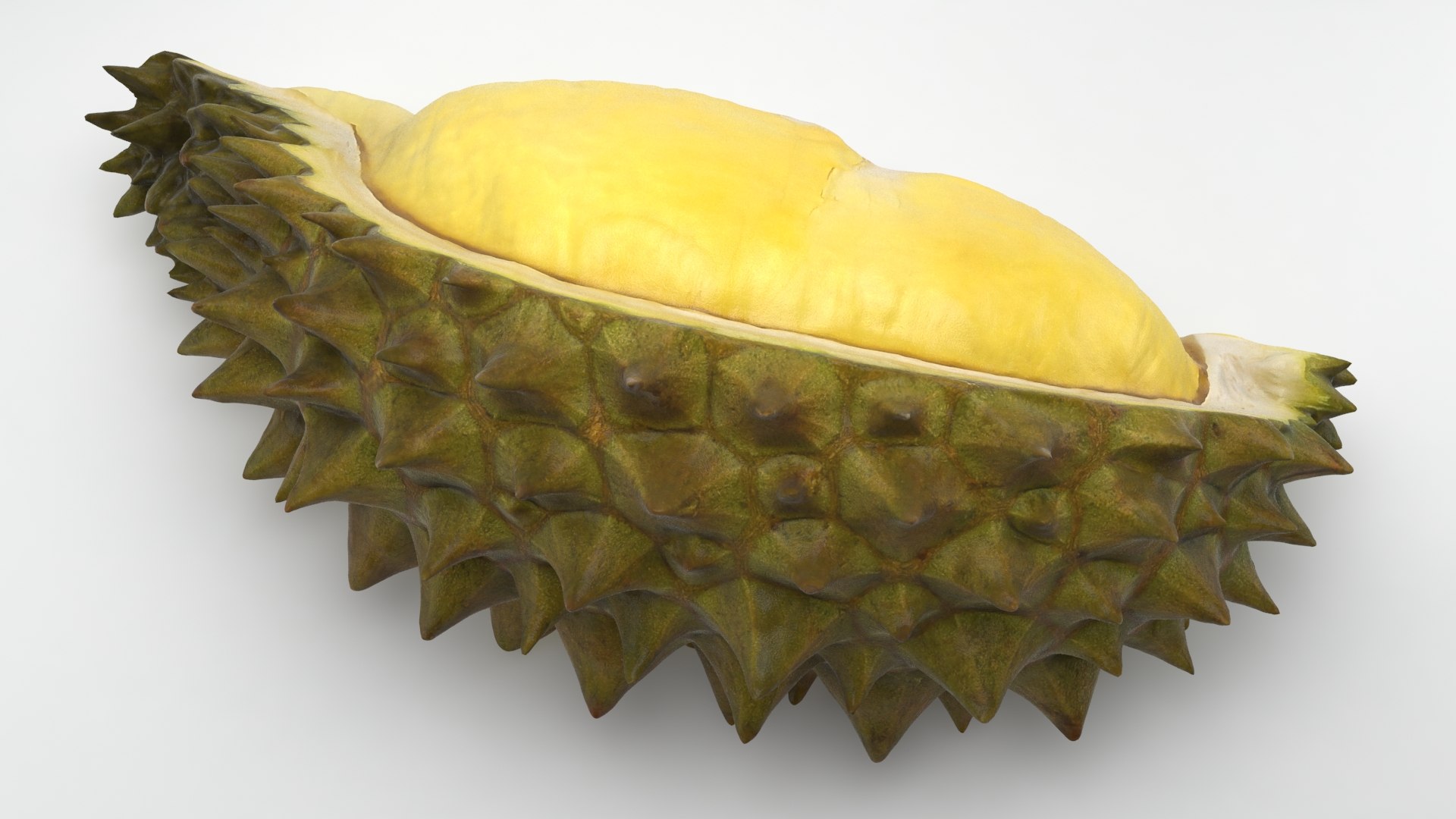 Durian Slice 01 3D model - TurboSquid 1739811