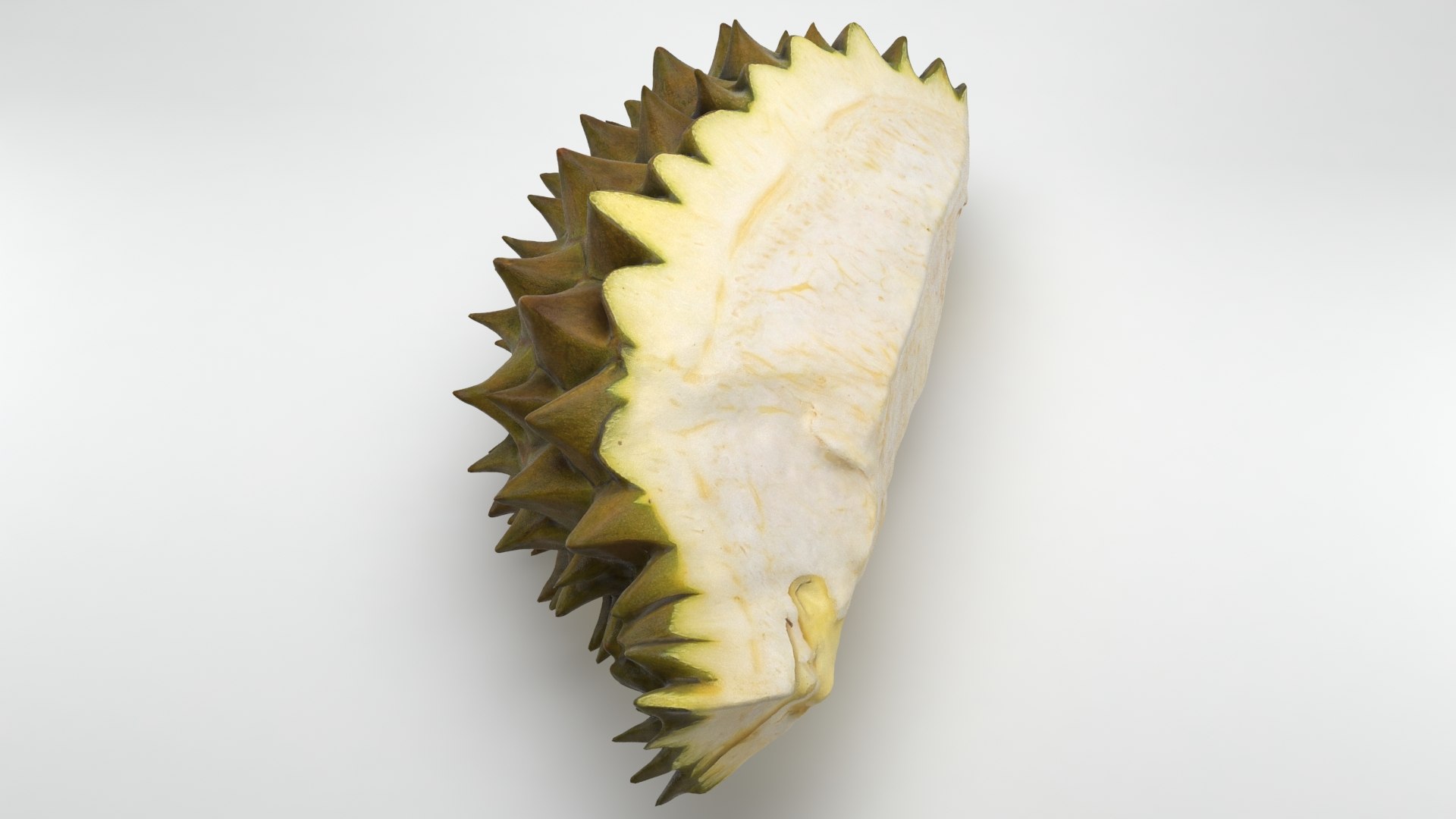 Durian Slice 01 3D model - TurboSquid 1739811