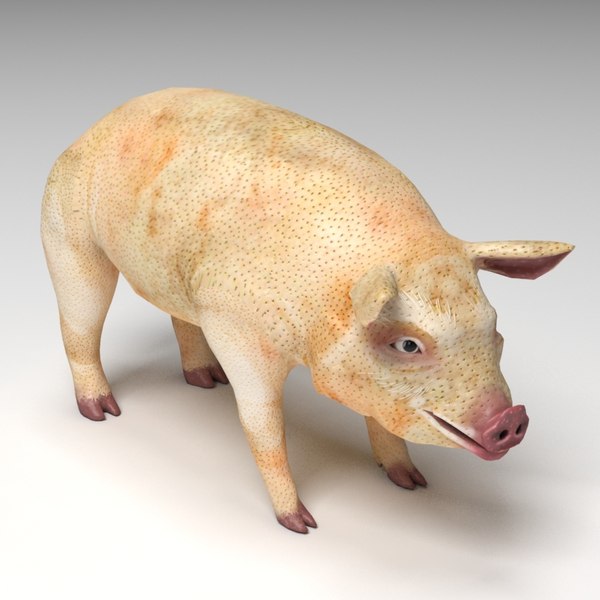 Pig 3D Models for Download | TurboSquid