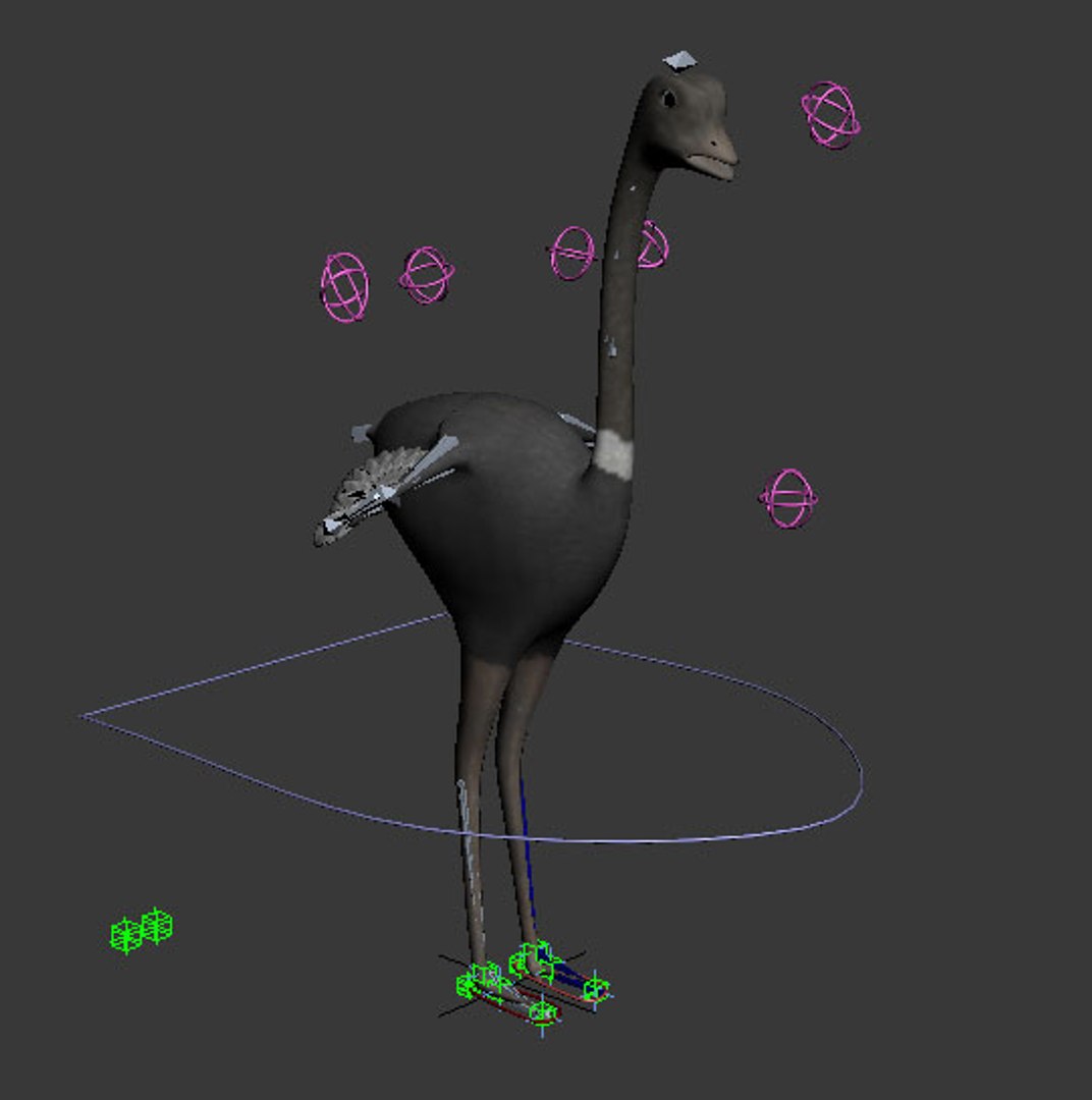 3d Model Ostrich