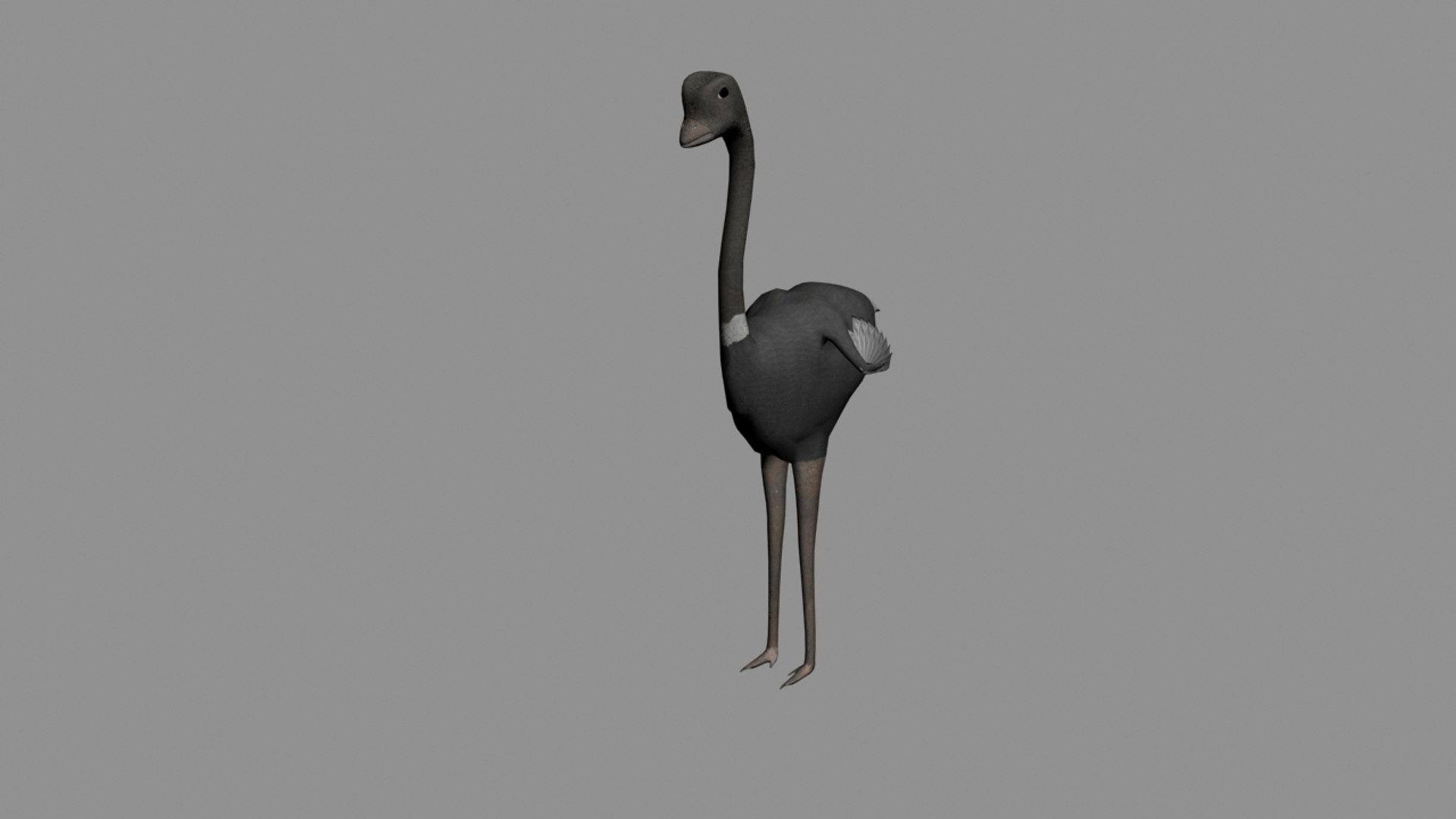 3d Model Ostrich