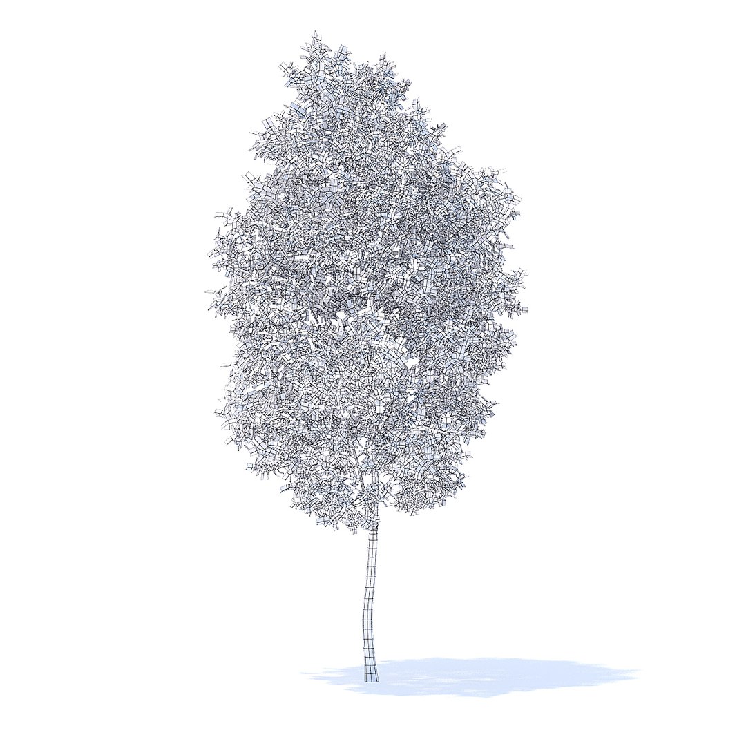 Apple Tree 3 8m 3D Model - TurboSquid 1252195