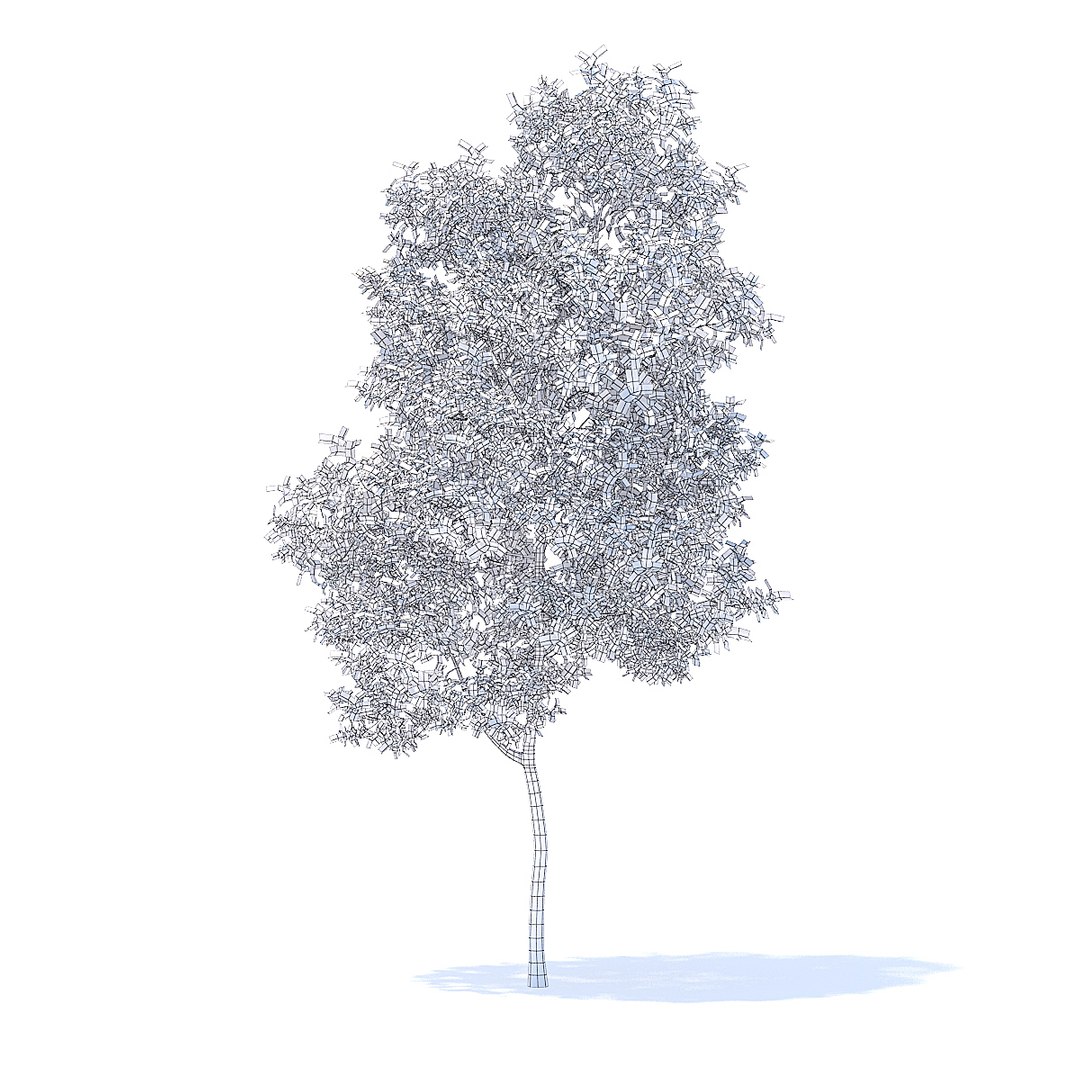 Apple Tree 3 8m 3D Model - TurboSquid 1252195