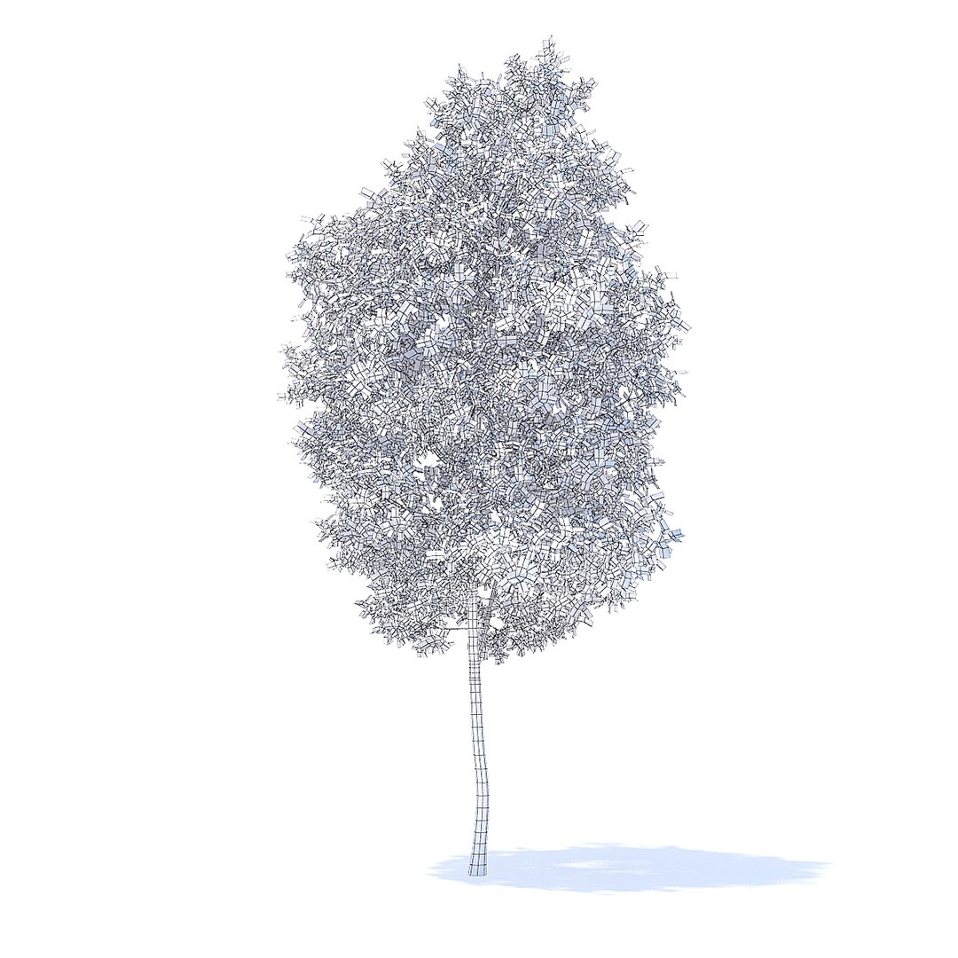 Apple Tree 3 8m 3D Model - TurboSquid 1252195