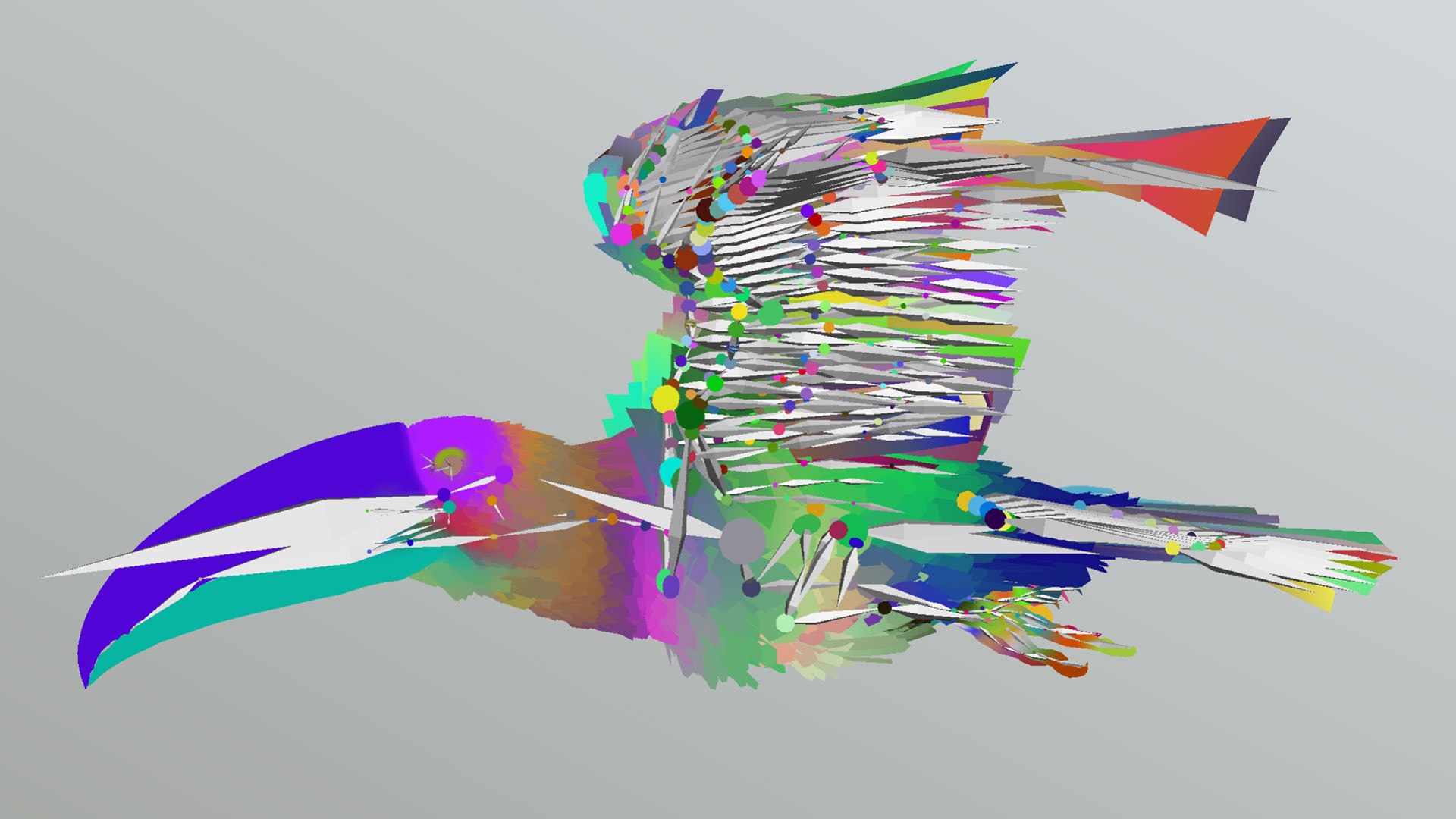 3D Toco Toucan Model - TurboSquid 2401943