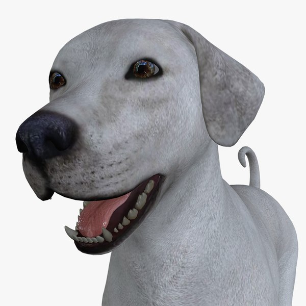 3D model LAB-001 Dog Walking - TurboSquid 1912301