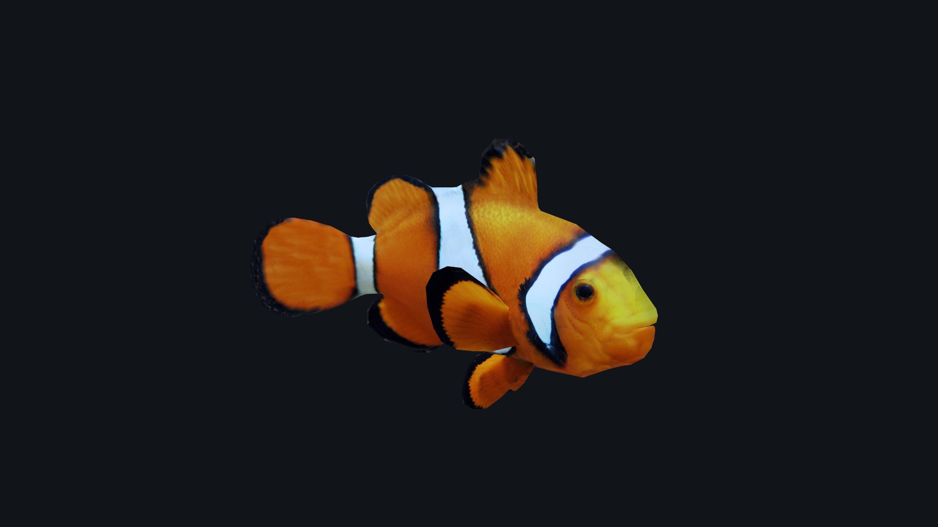 3D animated clownfish - TurboSquid 2089862