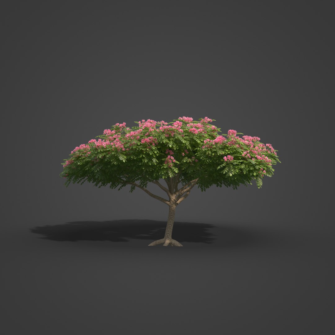 2021 PBR Monkey Pod Tree Collection - Samanea Saman 3D Model ...