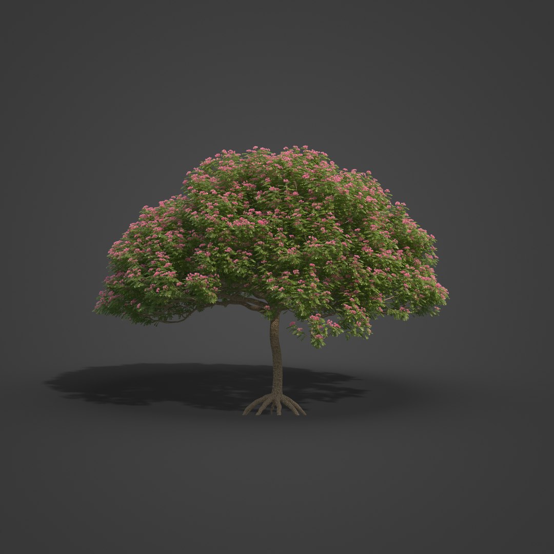 2021 PBR Monkey Pod Tree Collection - Samanea Saman 3D Model ...
