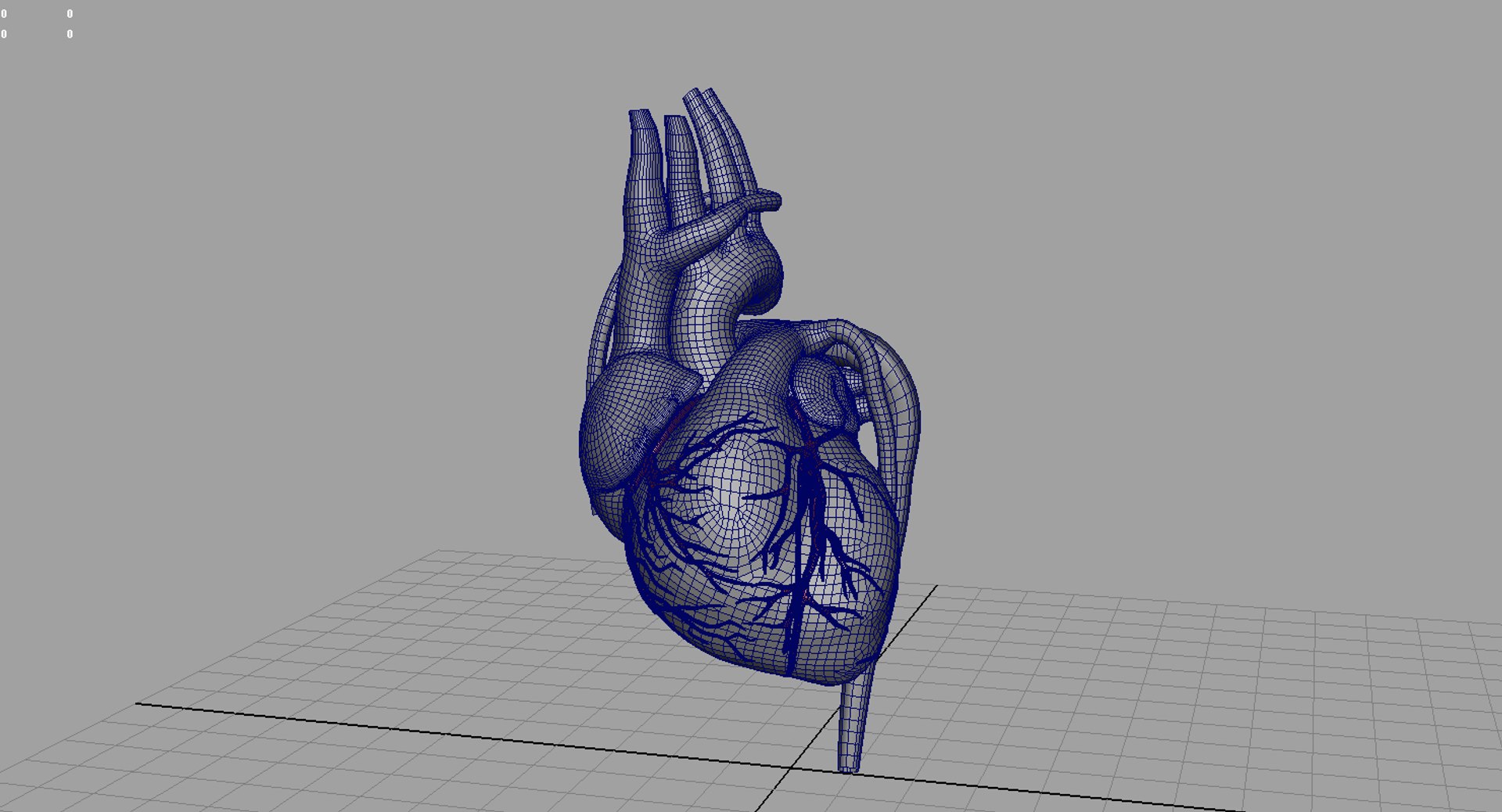 3D Heart Model - TurboSquid 1512630