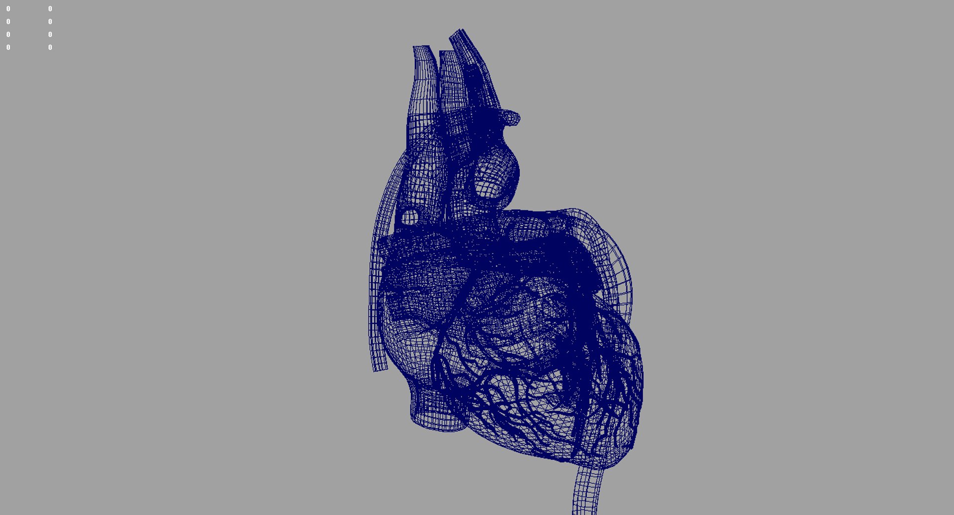 3D Heart Model - TurboSquid 1512630