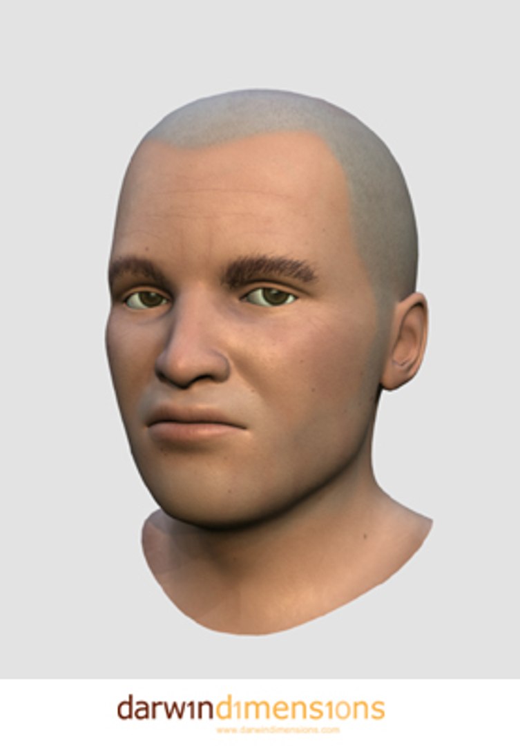 3d Head Facials Expressions Model