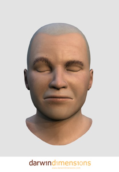 3d head facials expressions model